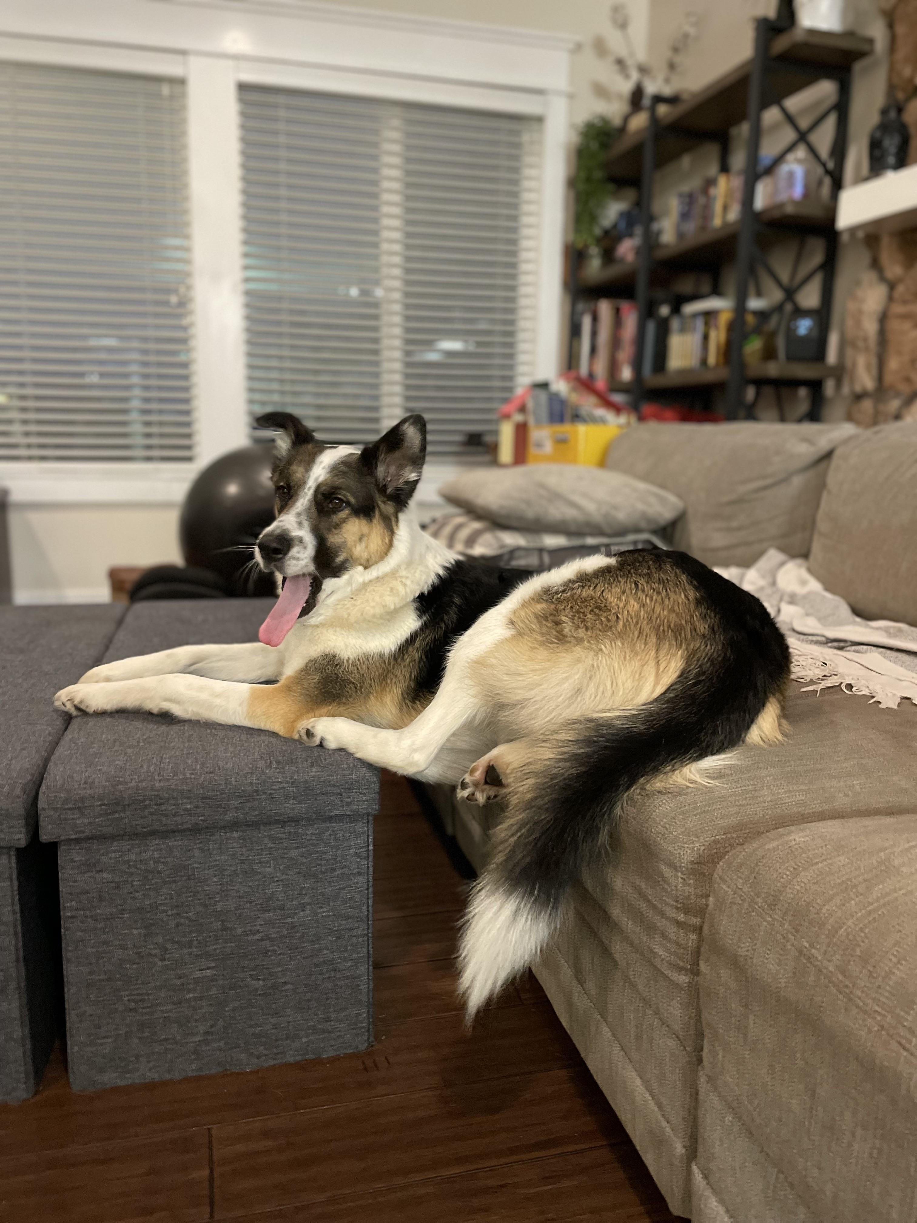 Totally normal. | Scrolller