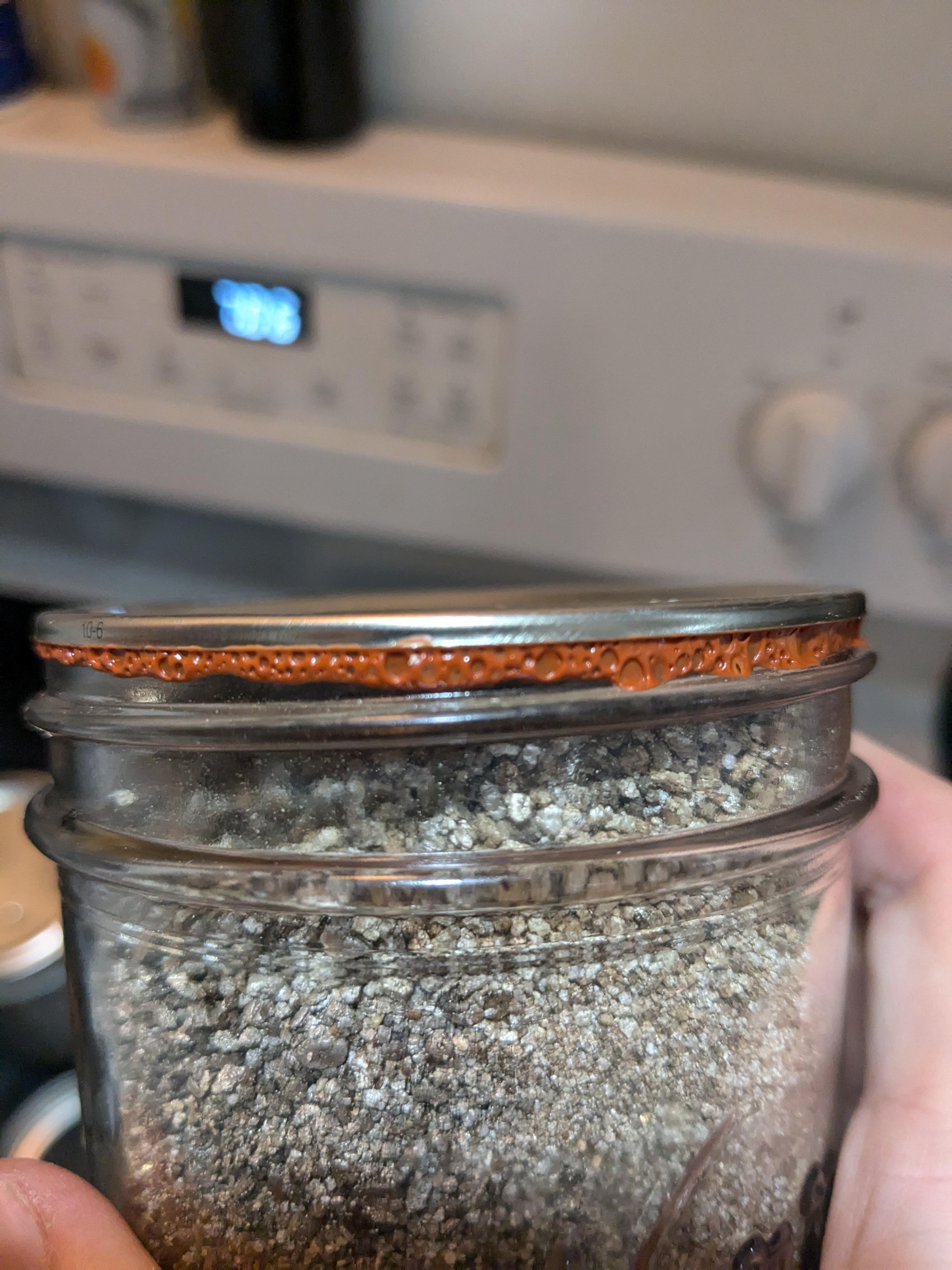 Burnt, cracked, melting jars- What am I doing wrong? [technique] | Scrolller