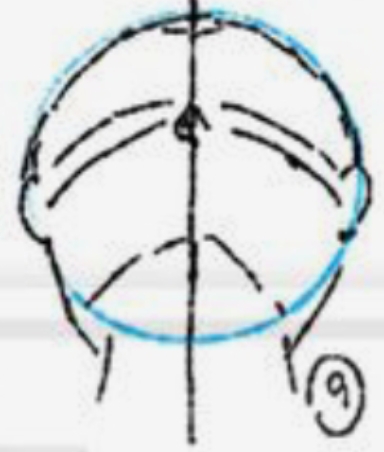 Discover more like Learntodraw: Any General tips for improvemt? and Related Content | Scrolller