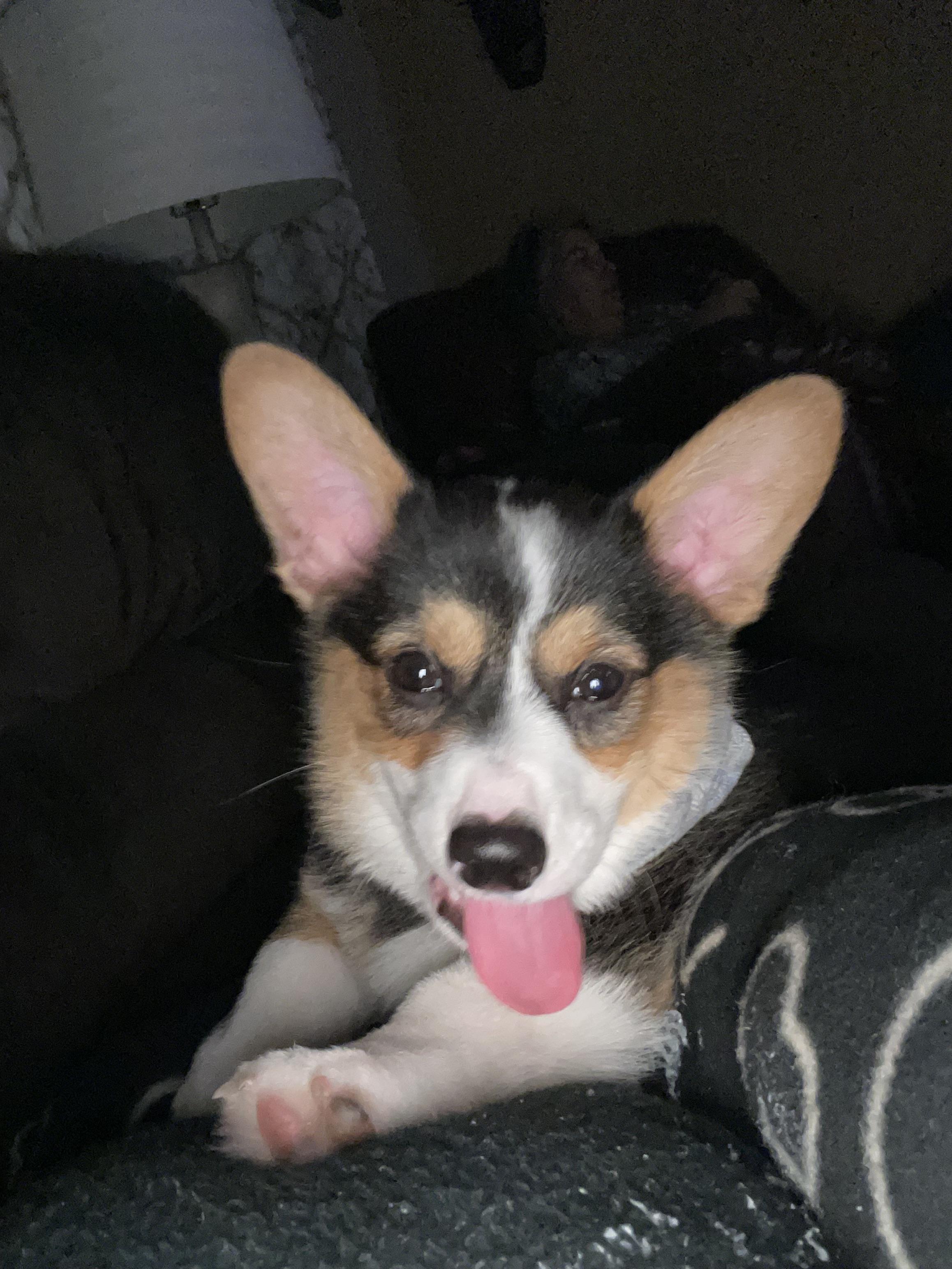 When he was smol | Scrolller