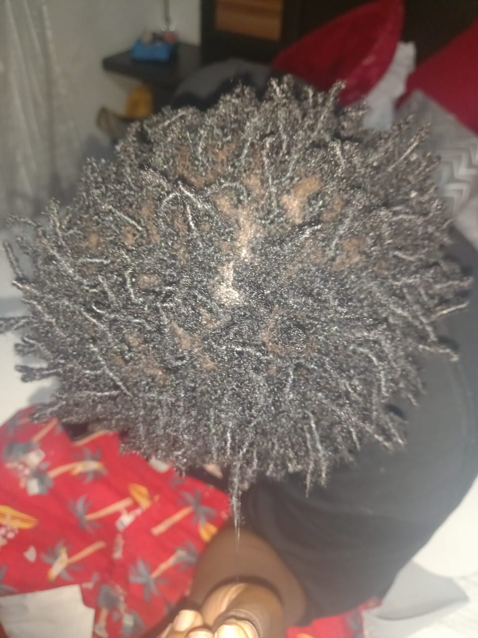 Should I continue my freeforms or get a two strand twist | Scrolller