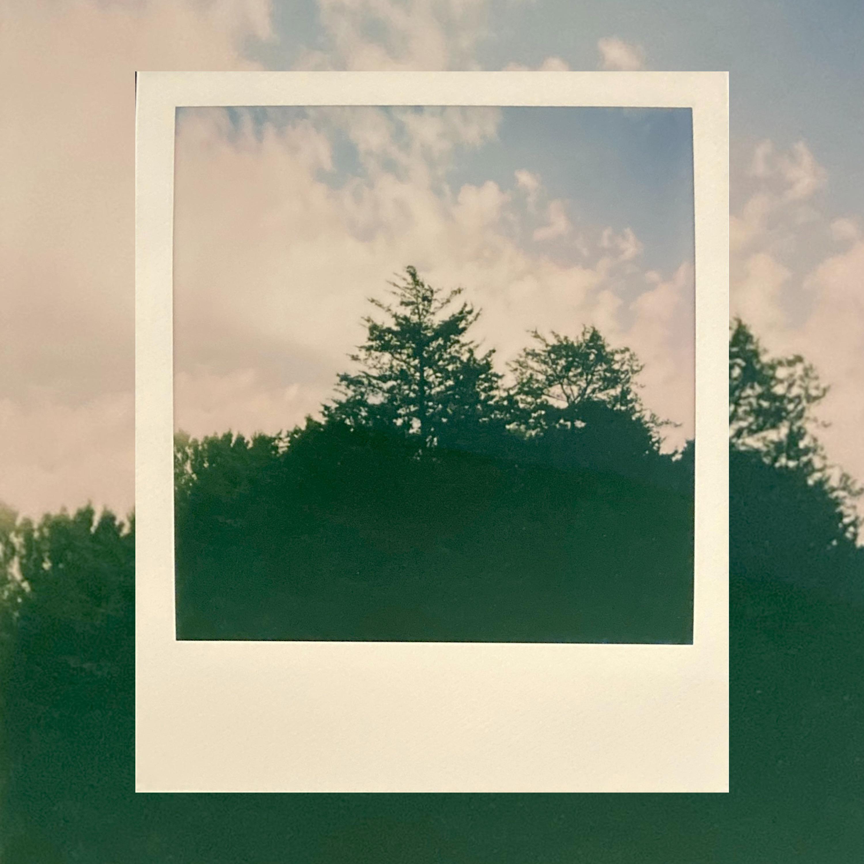 Some of my very first shots | Scrolller