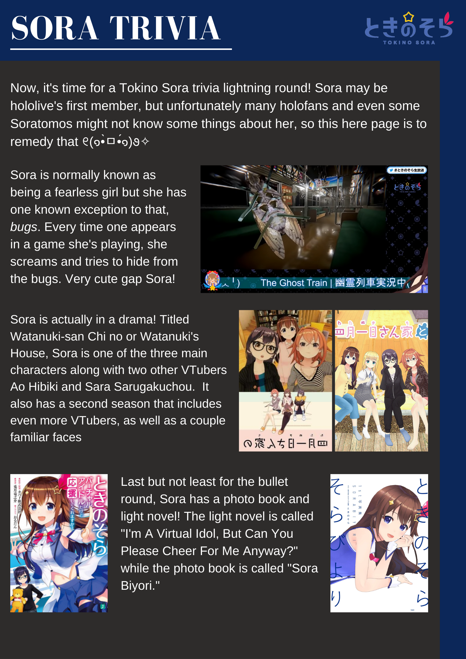 An Overview of Tokino Sora's career, Happy Birthday Sora! | Scrolller
