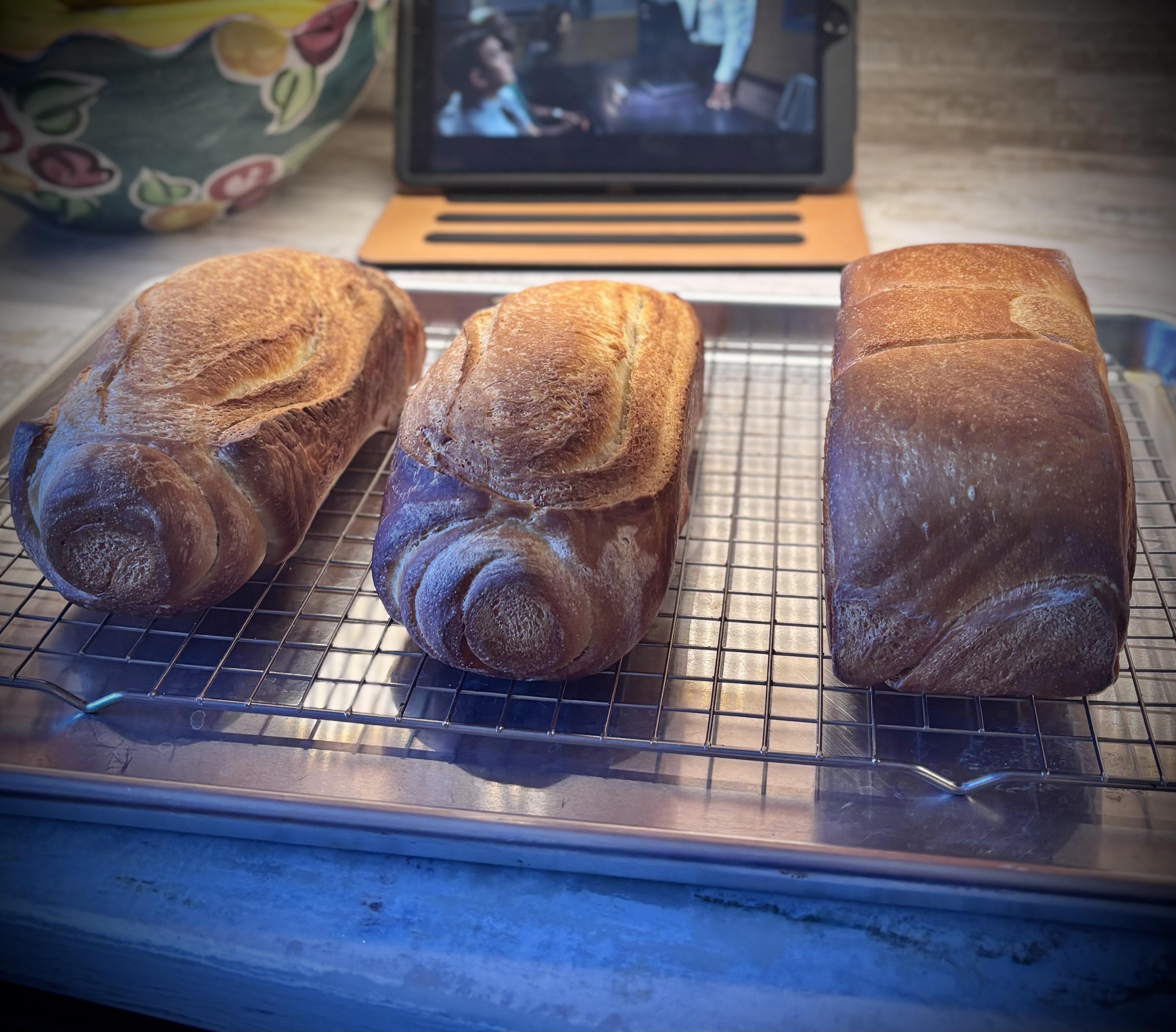 Was gonna make bagels change my mind tried to make bagel bread | Scrolller