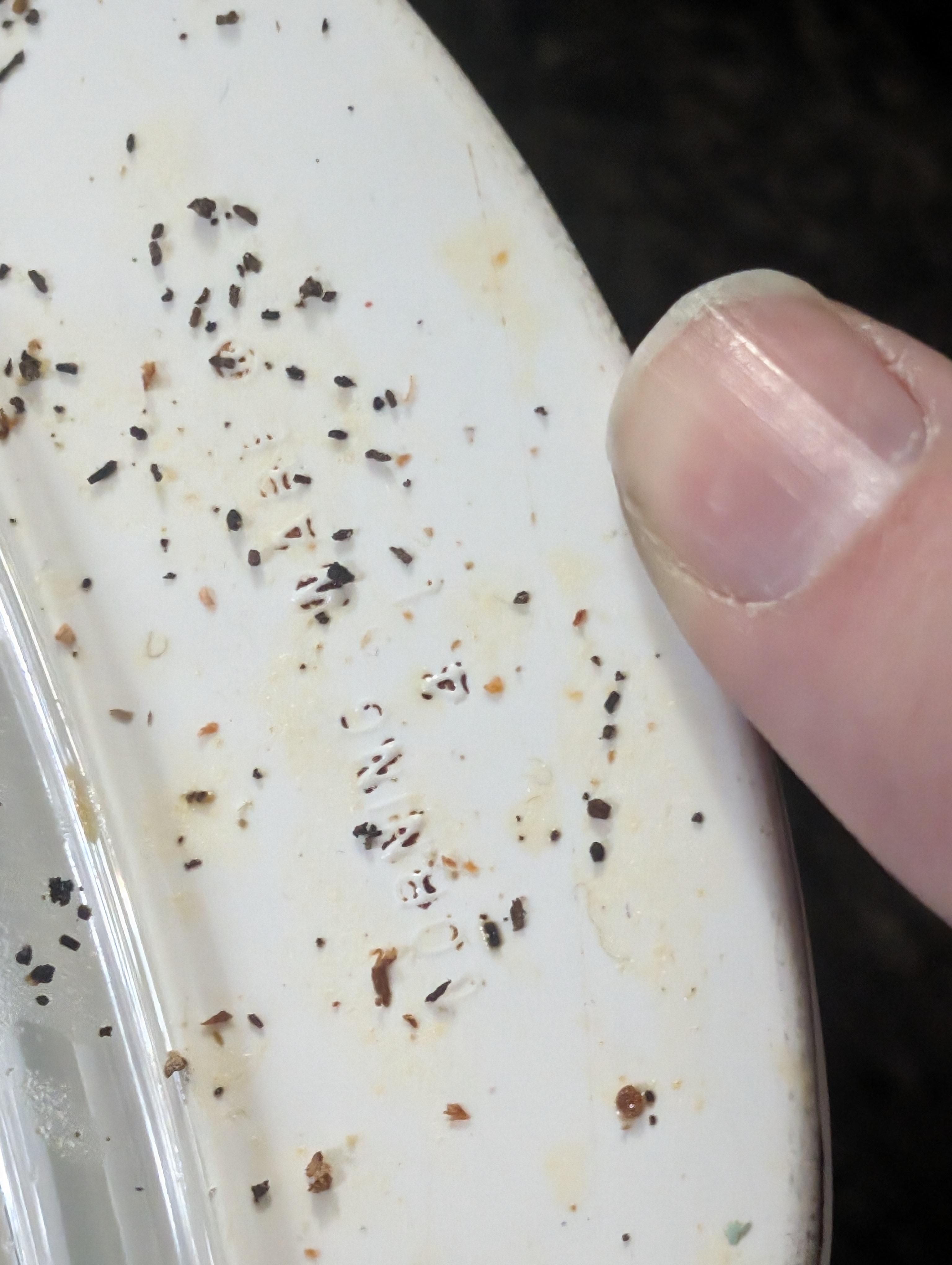 Can anyone identify this poop? | Scrolller