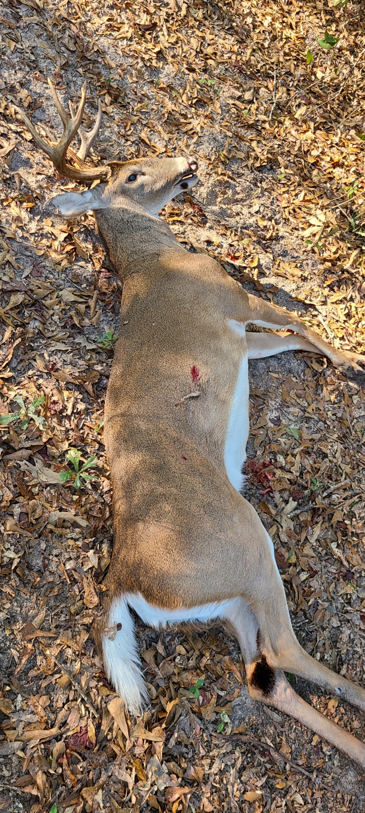 Cpl seasons ago | Scrolller