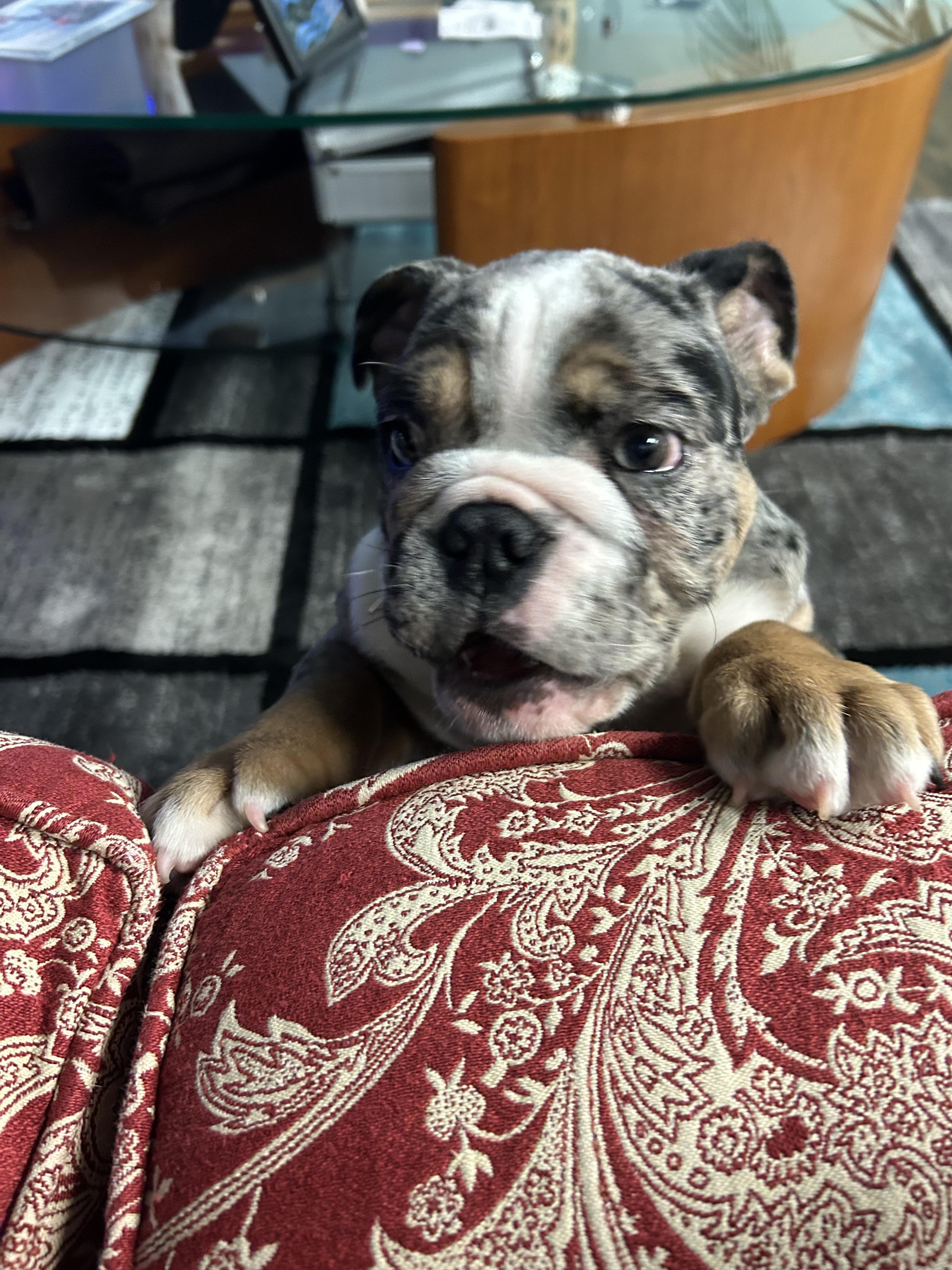 My man grew up way too fast! | Scrolller