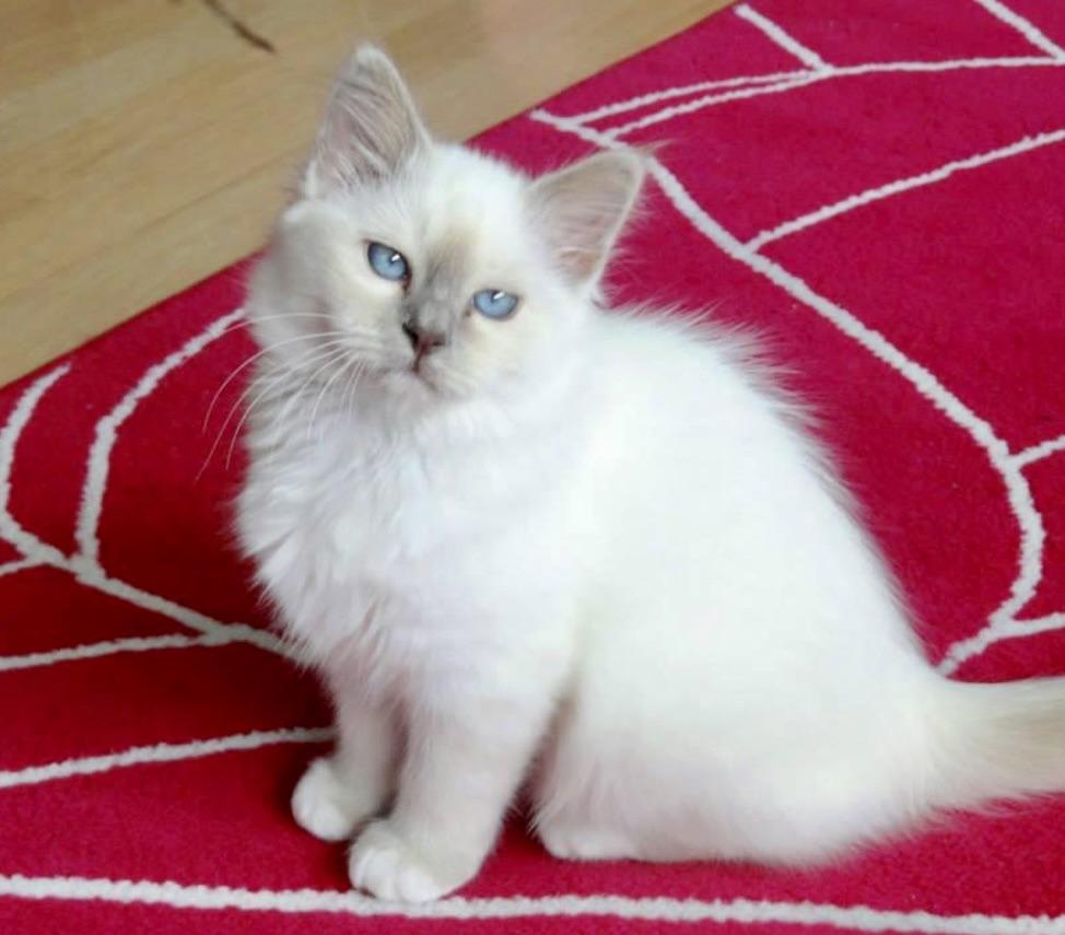 Discover more like Aww: Baby moon, half moon, full moon! How she changed, forever perfect. and ...