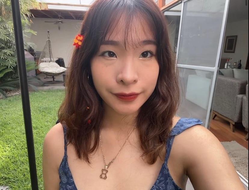 Dark hair or brown hair? which suits me the best? | Scrolller