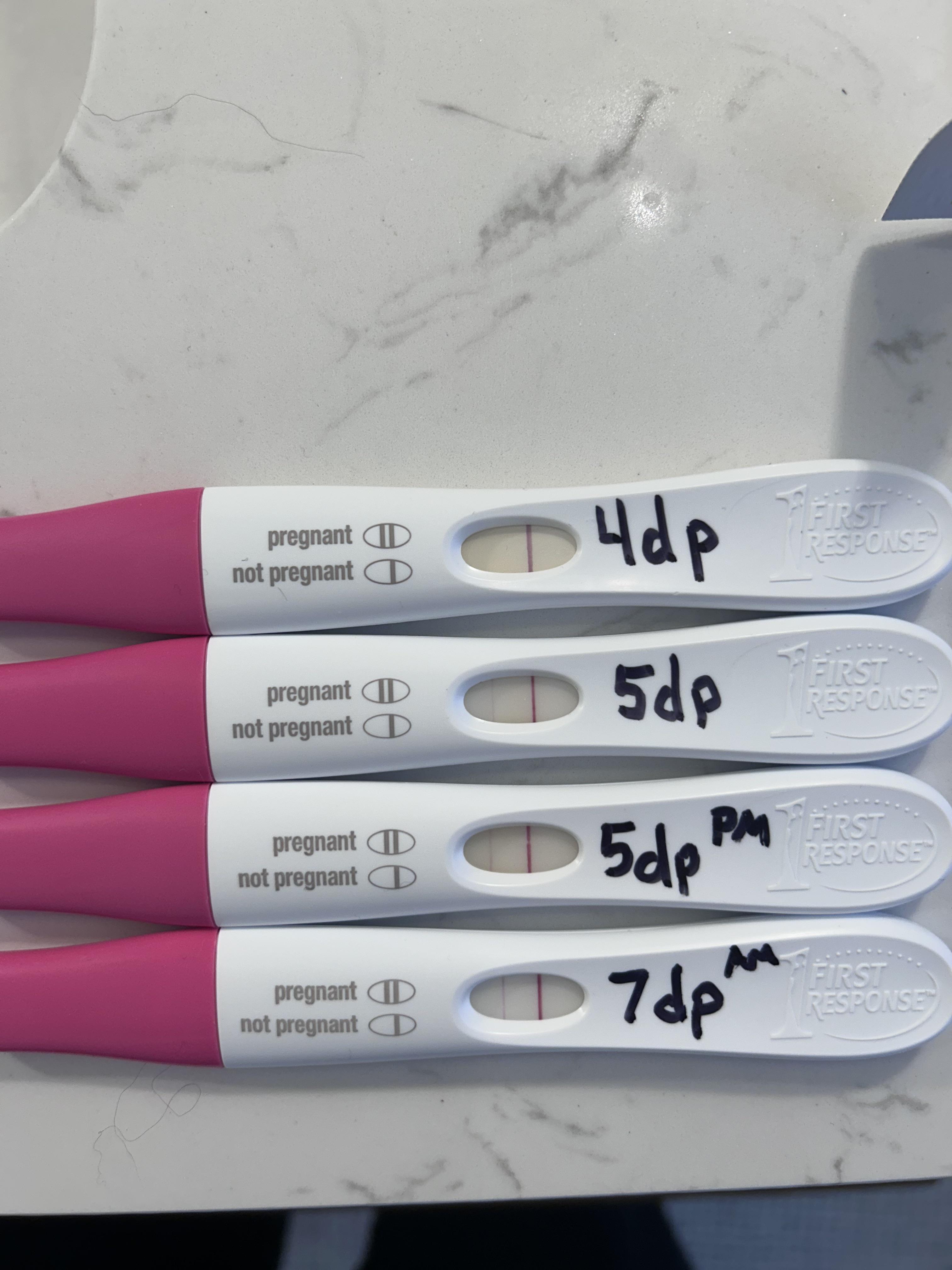 8dp5dt (aka 13 dpo) progression | Scrolller