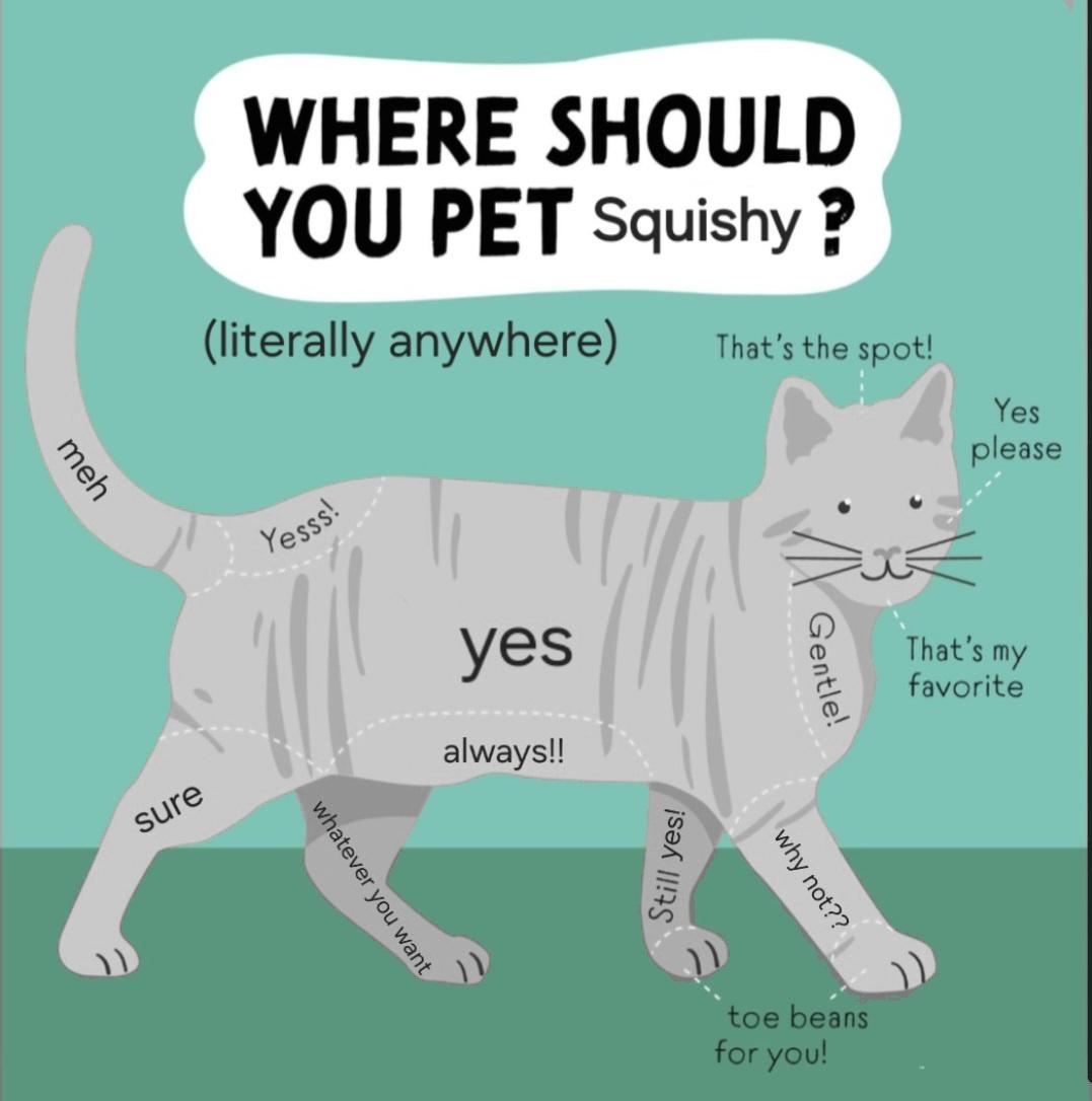 Edited this chart to show where you can pet my tuxie Squishy | Scrolller