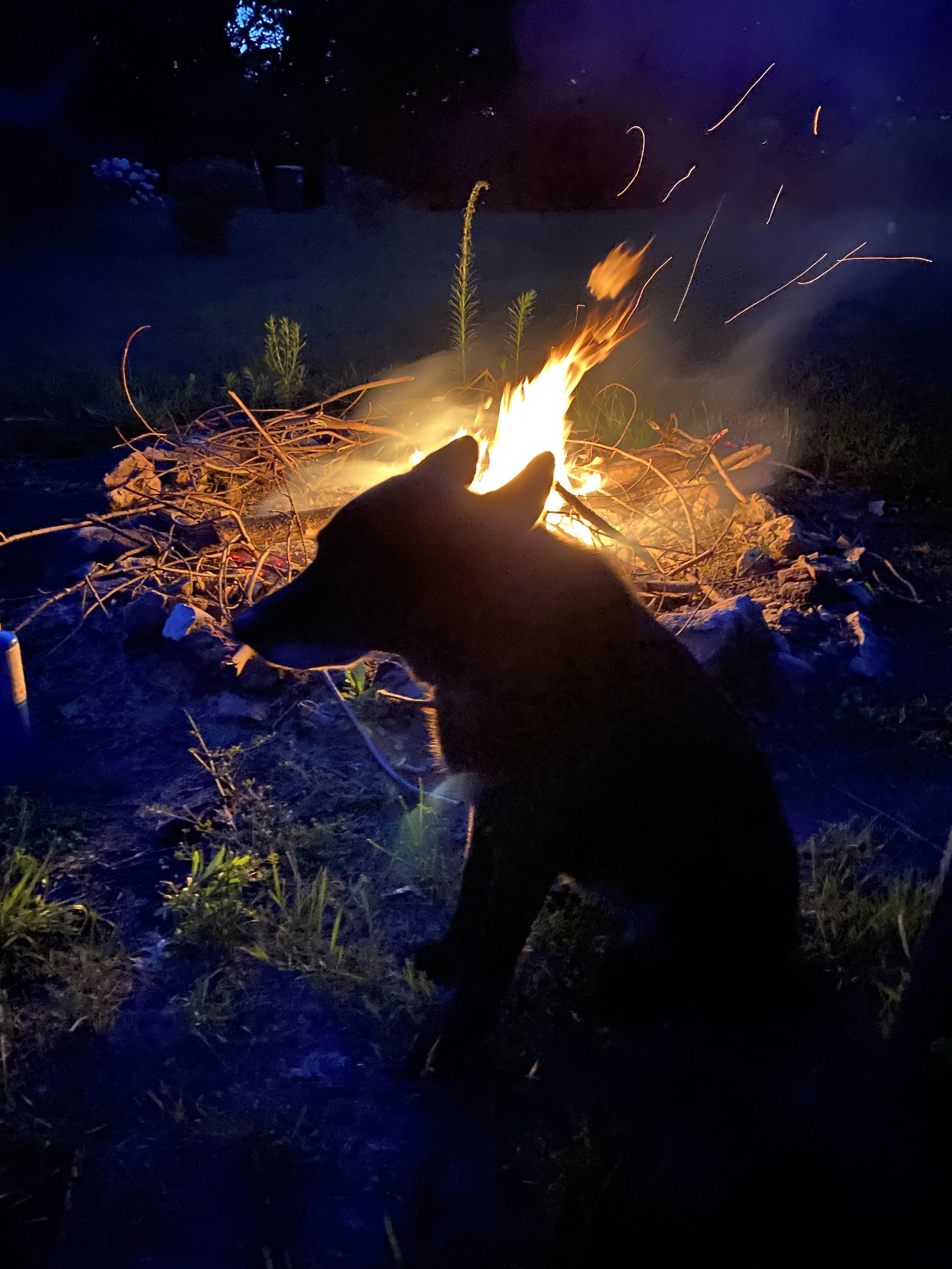 Bonfire with best friends… | Scrolller