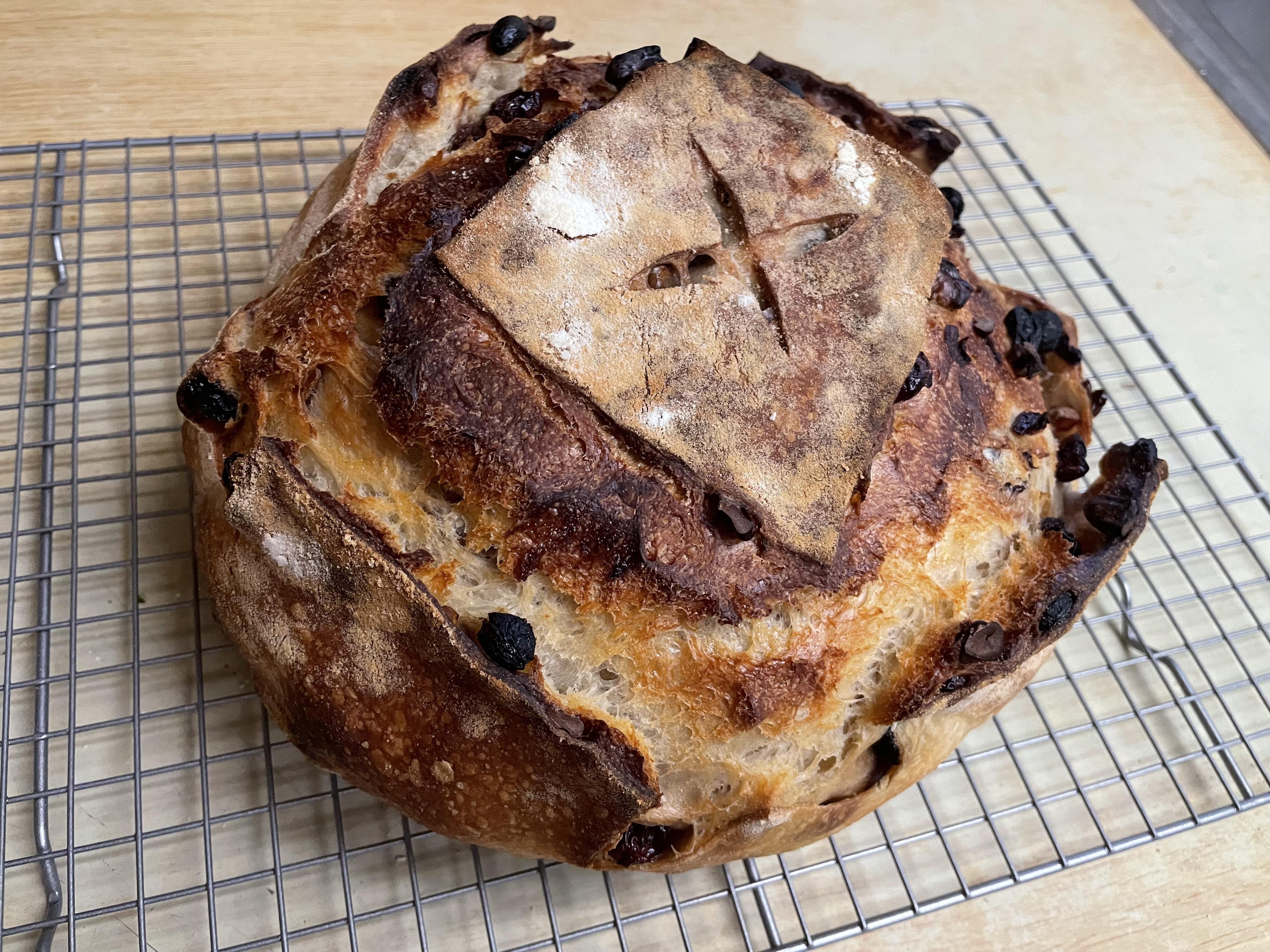 My favorite kind of “Spring” | Scrolller