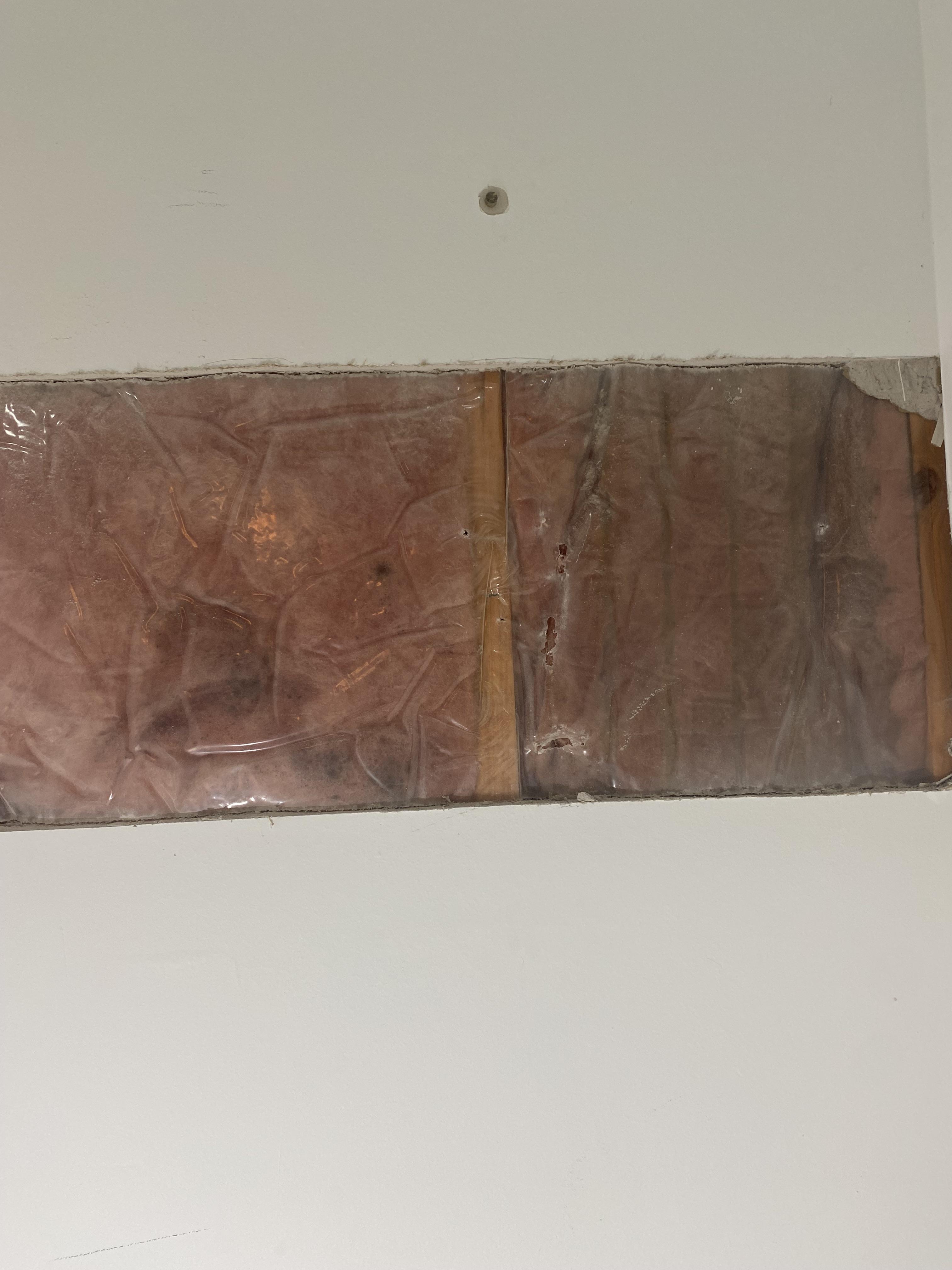 Does this look like black mold? | Scrolller