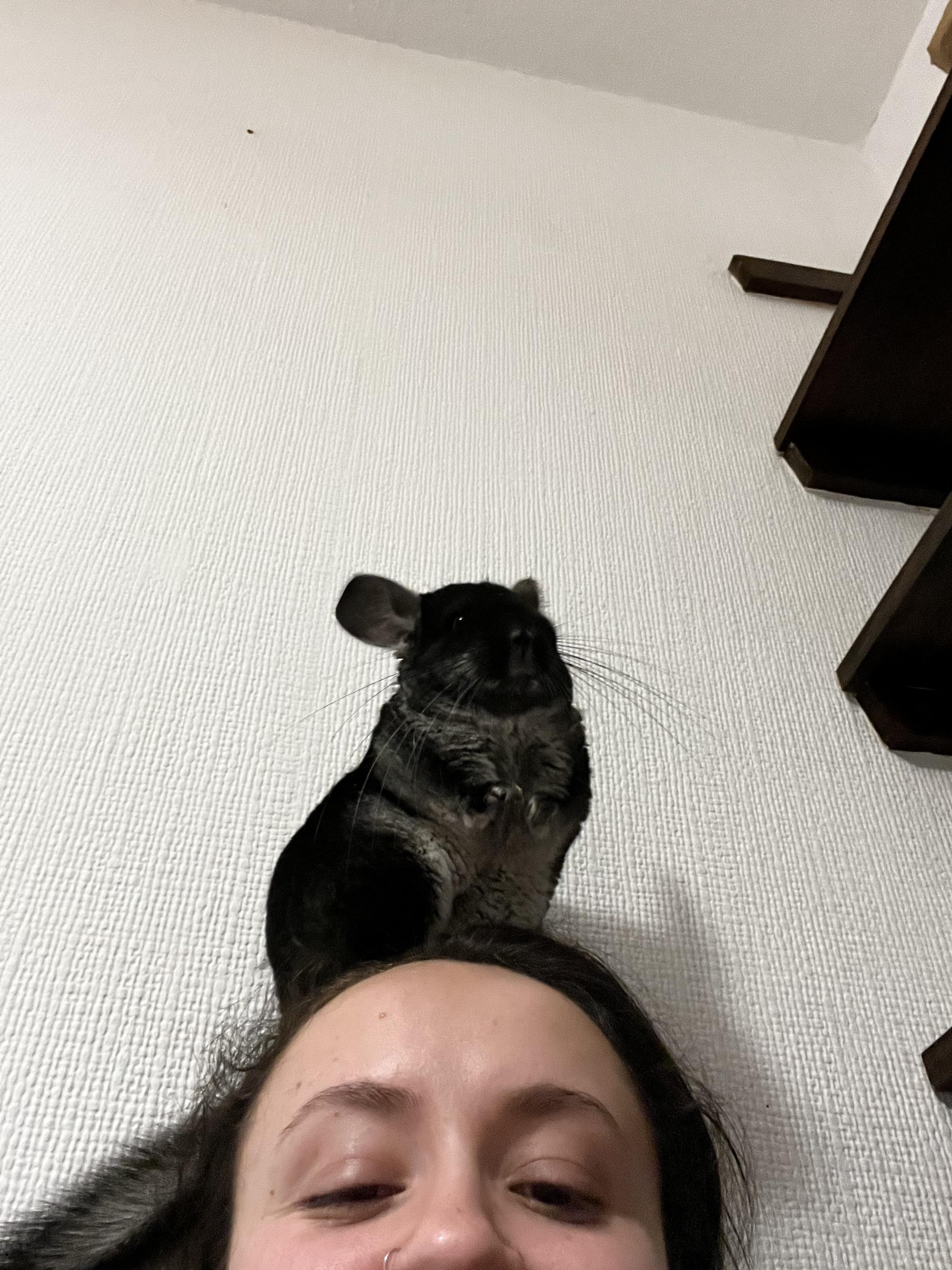 Skinny chins please help!!! | Scrolller