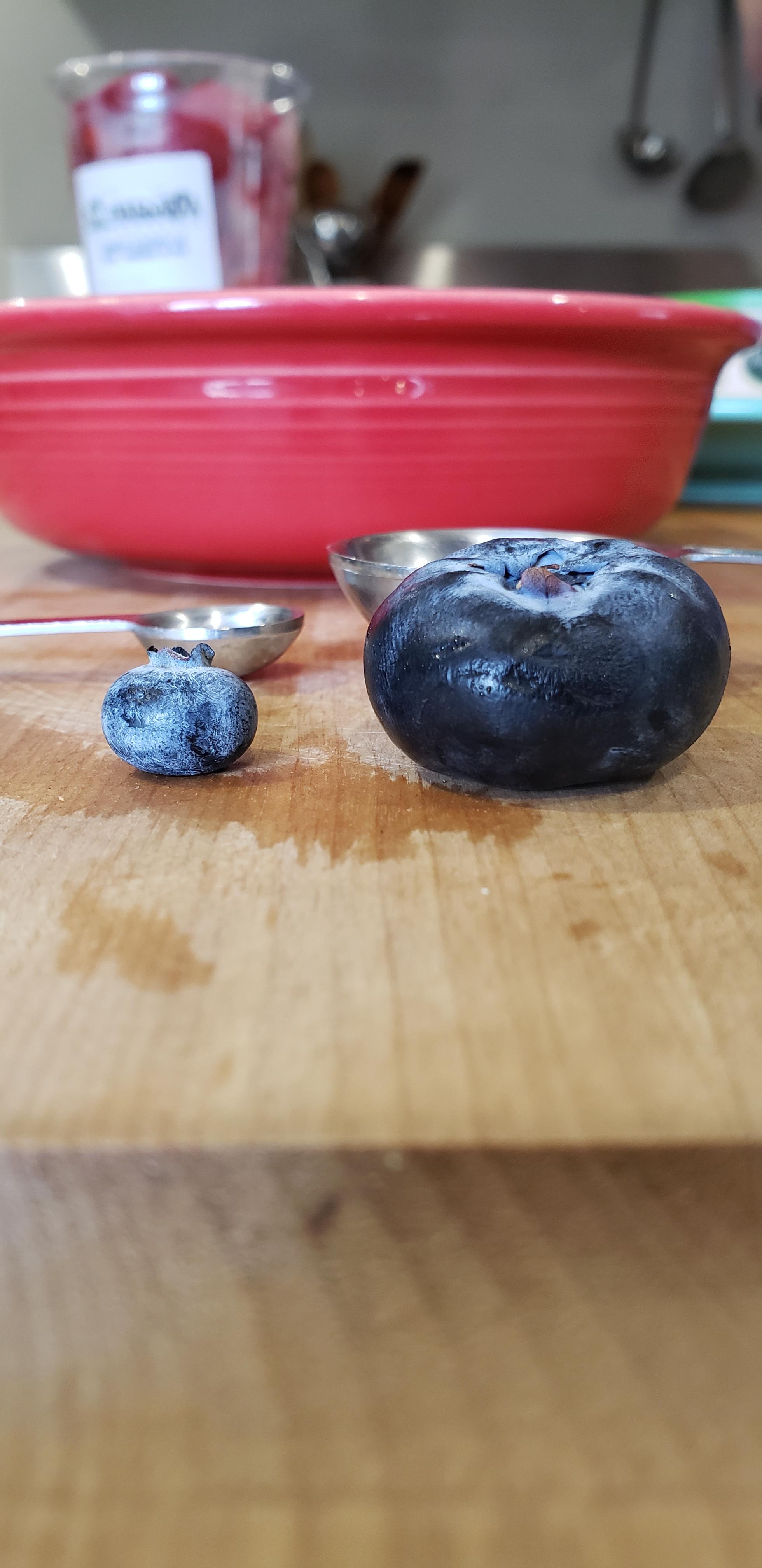The biggest Blueberry I've ever seen. [Produce] | Scrolller