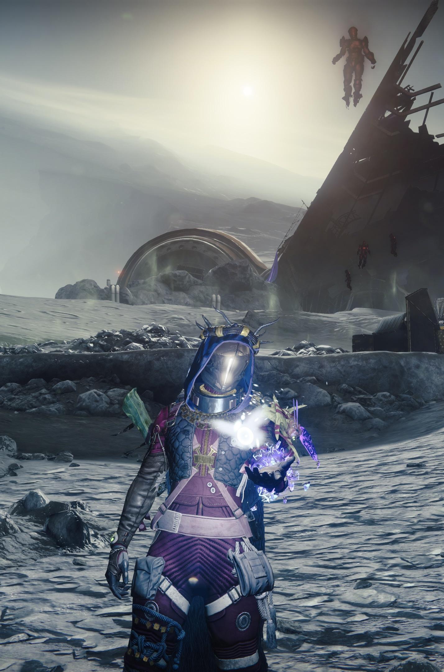 Lunar Moth Queen checking in for TFS | Scrolller