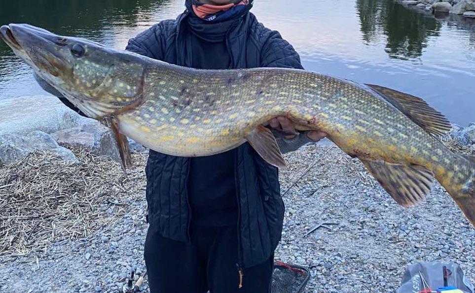 Made my first lure and caught some nice pike on it) | Scrolller