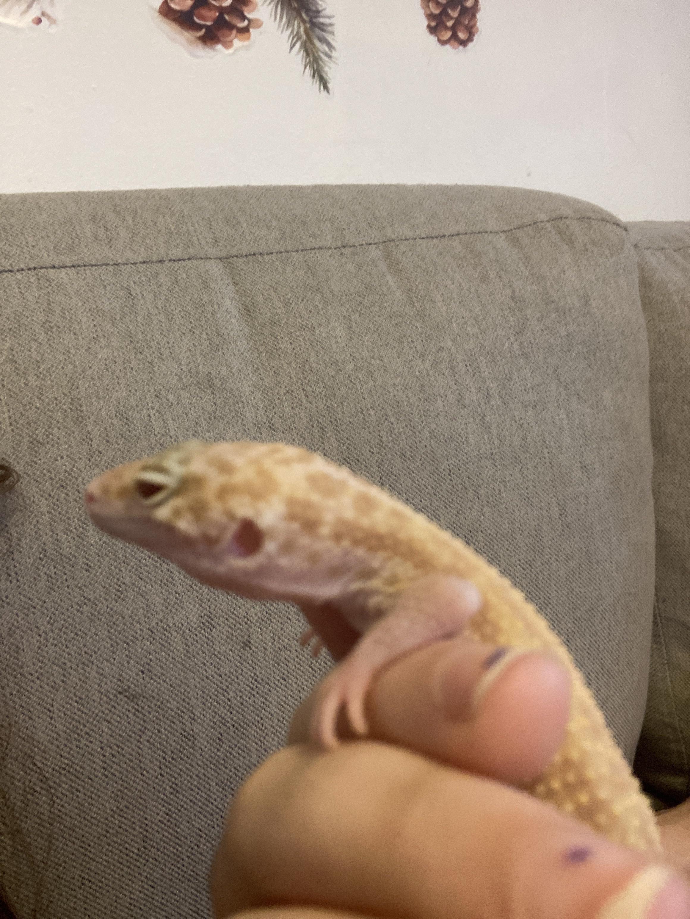 Name recs? | Scrolller