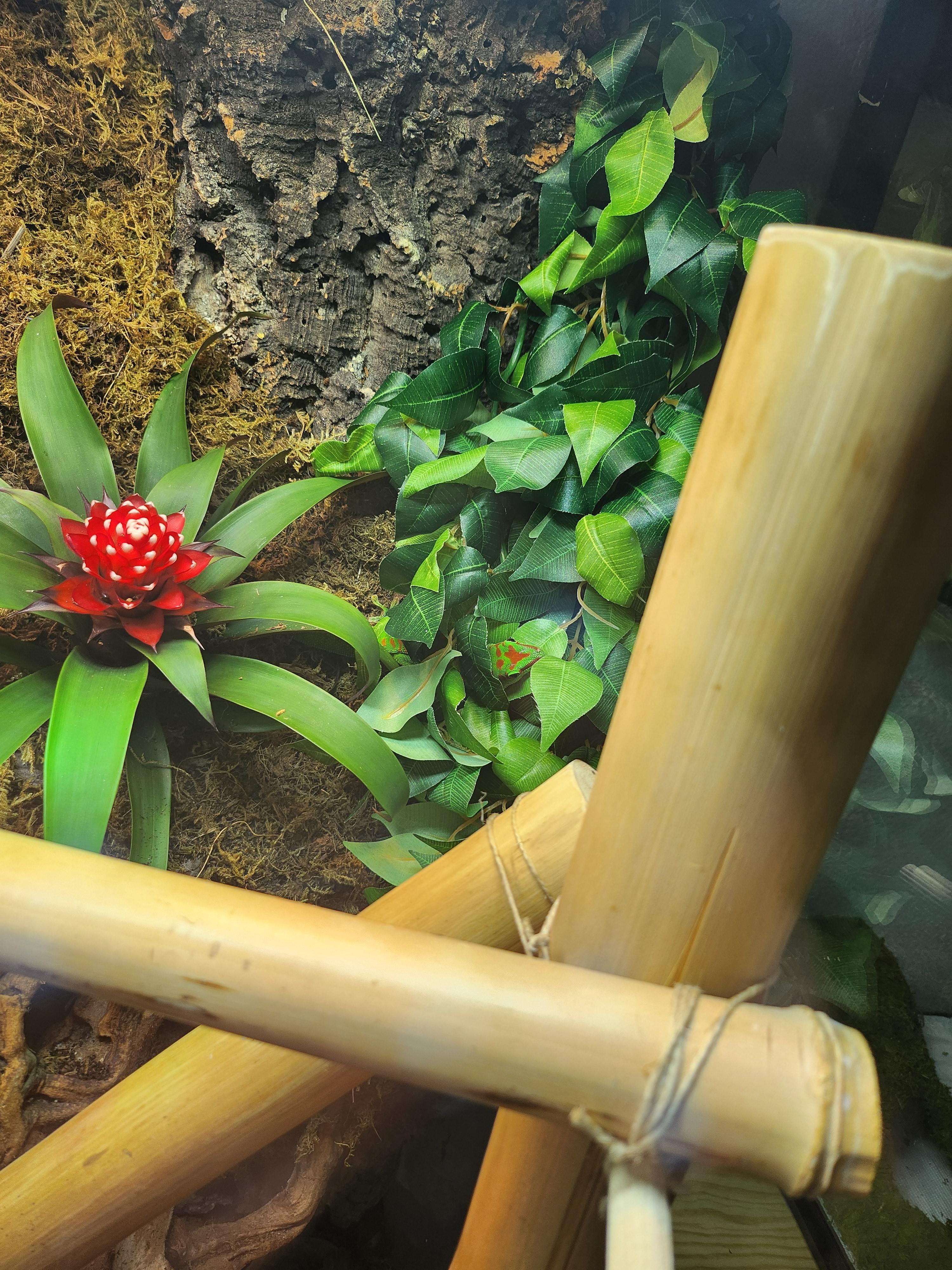 Hide and Seek Champ | Scrolller