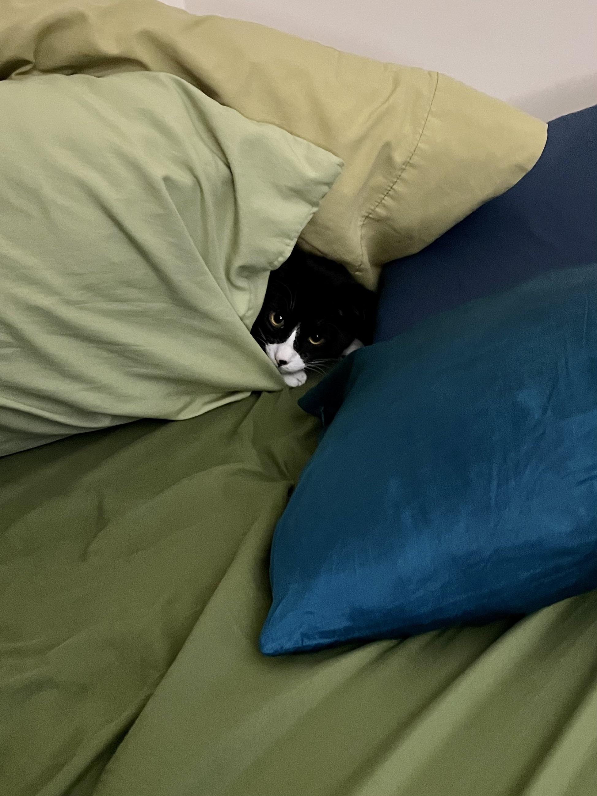 Peeker attack | Scrolller