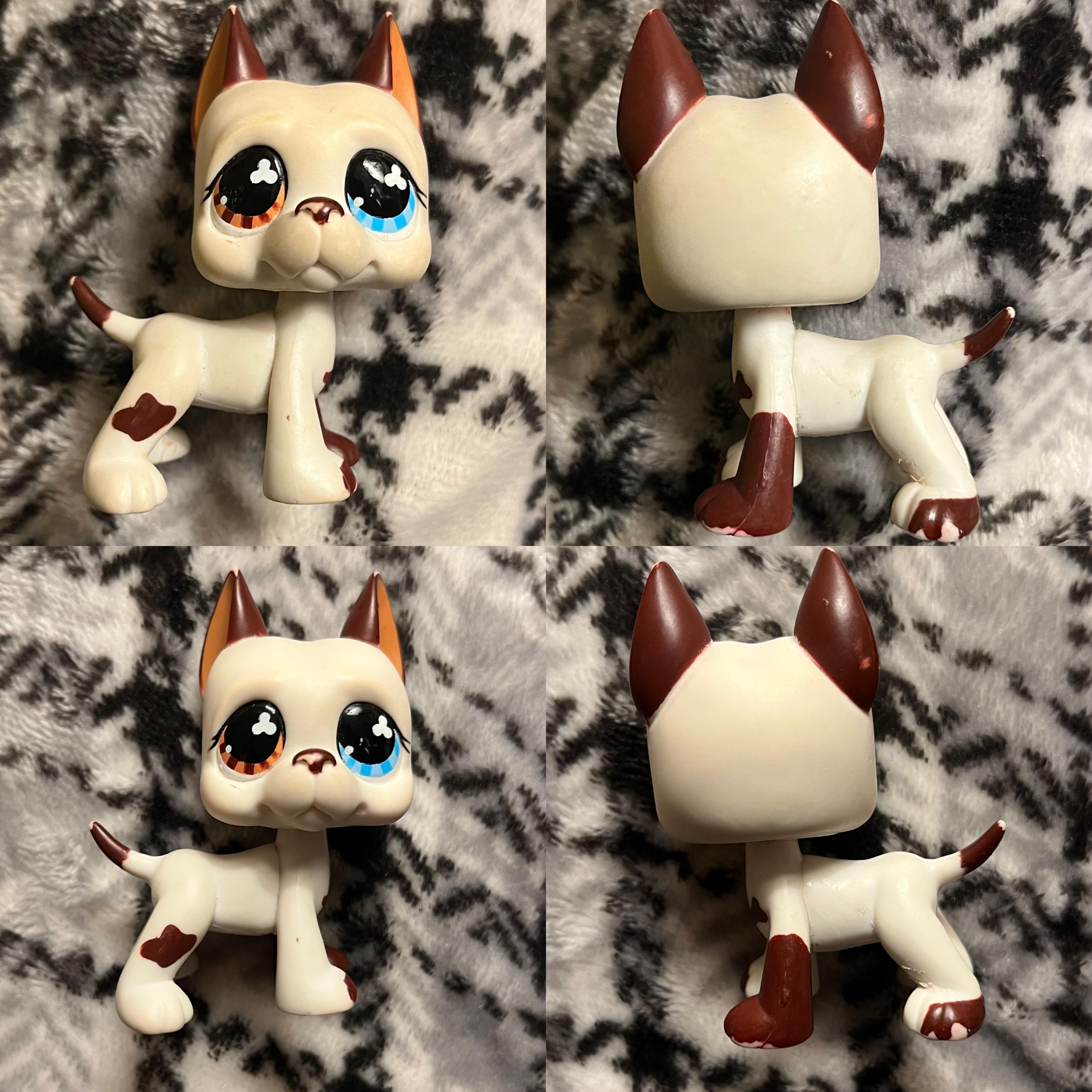 Cleaning my childhood pets | Scrolller