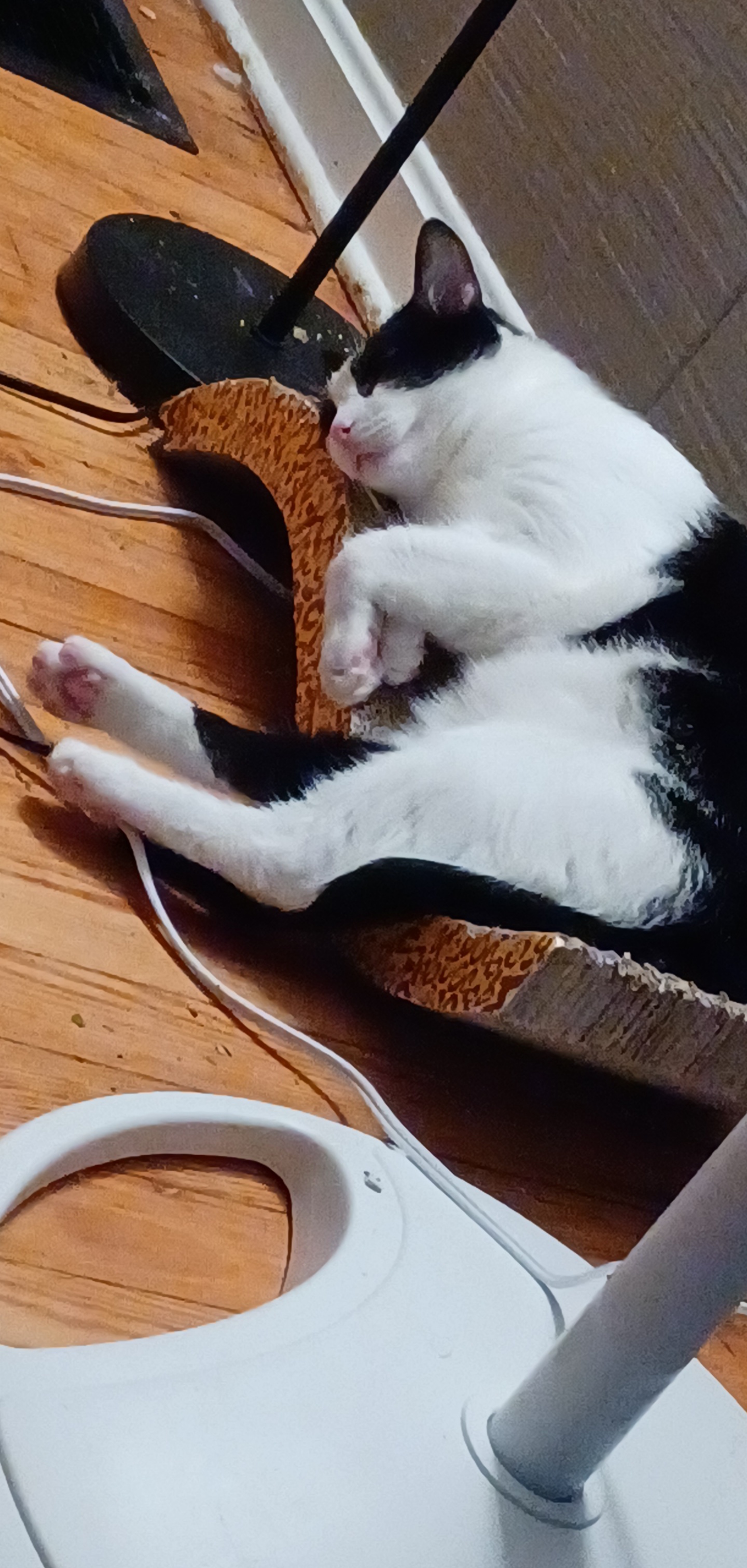 Butters and Chunk ️ | Scrolller