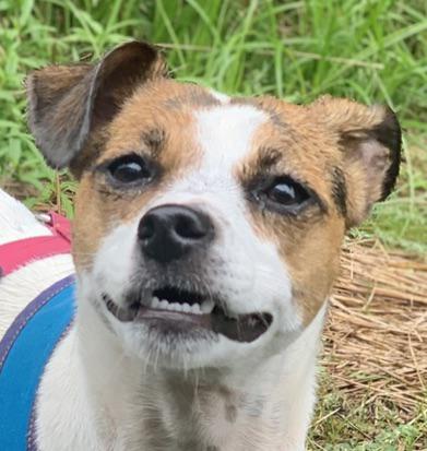 Can’t always be photogenic. Doing her best with a derpy, crooked smile! | Scrolller