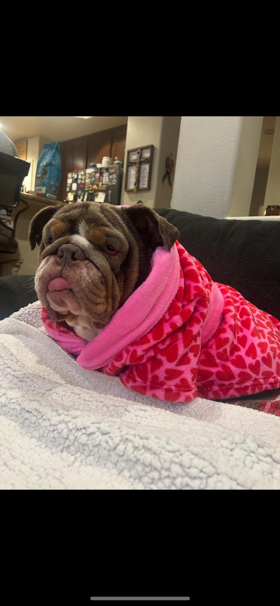 Her new Robe | Scrolller