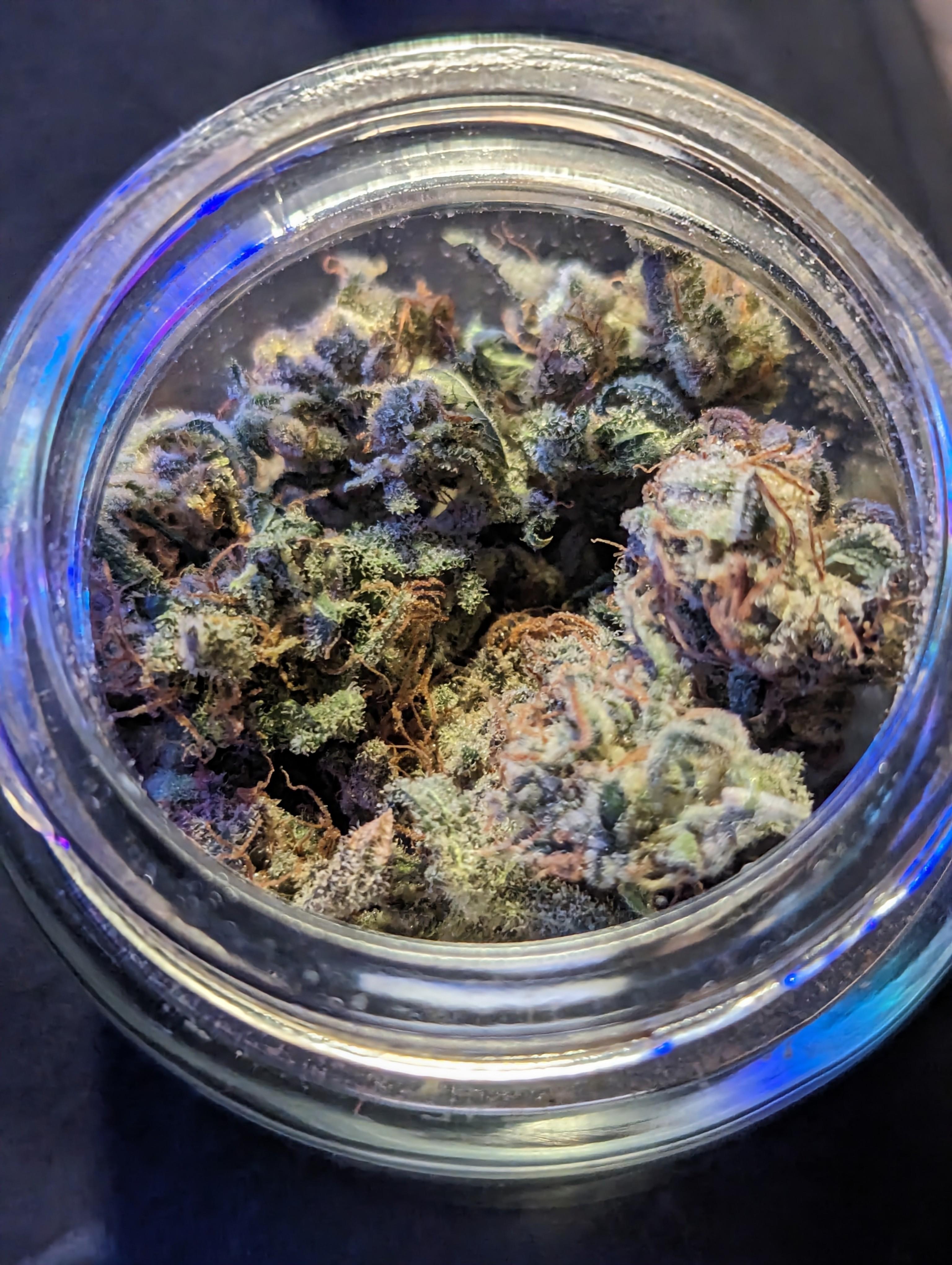 Bubblegum | Scrolller