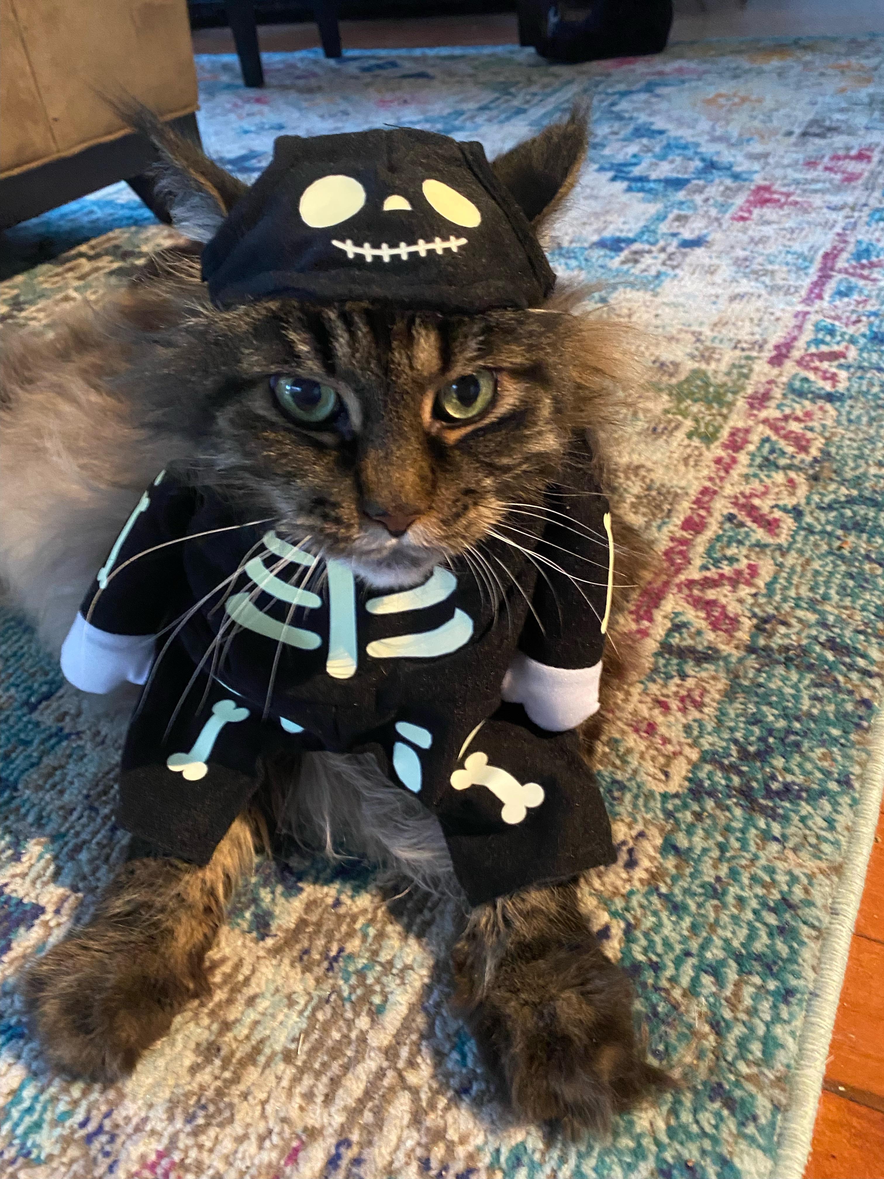 This is Xena, she’s 14 | Scrolller