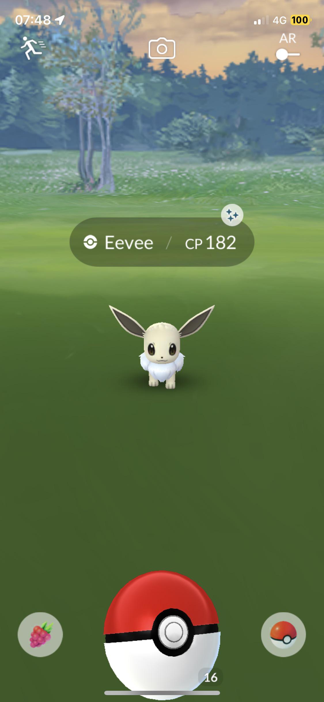 Just caught my first shiny eevee | Scrolller