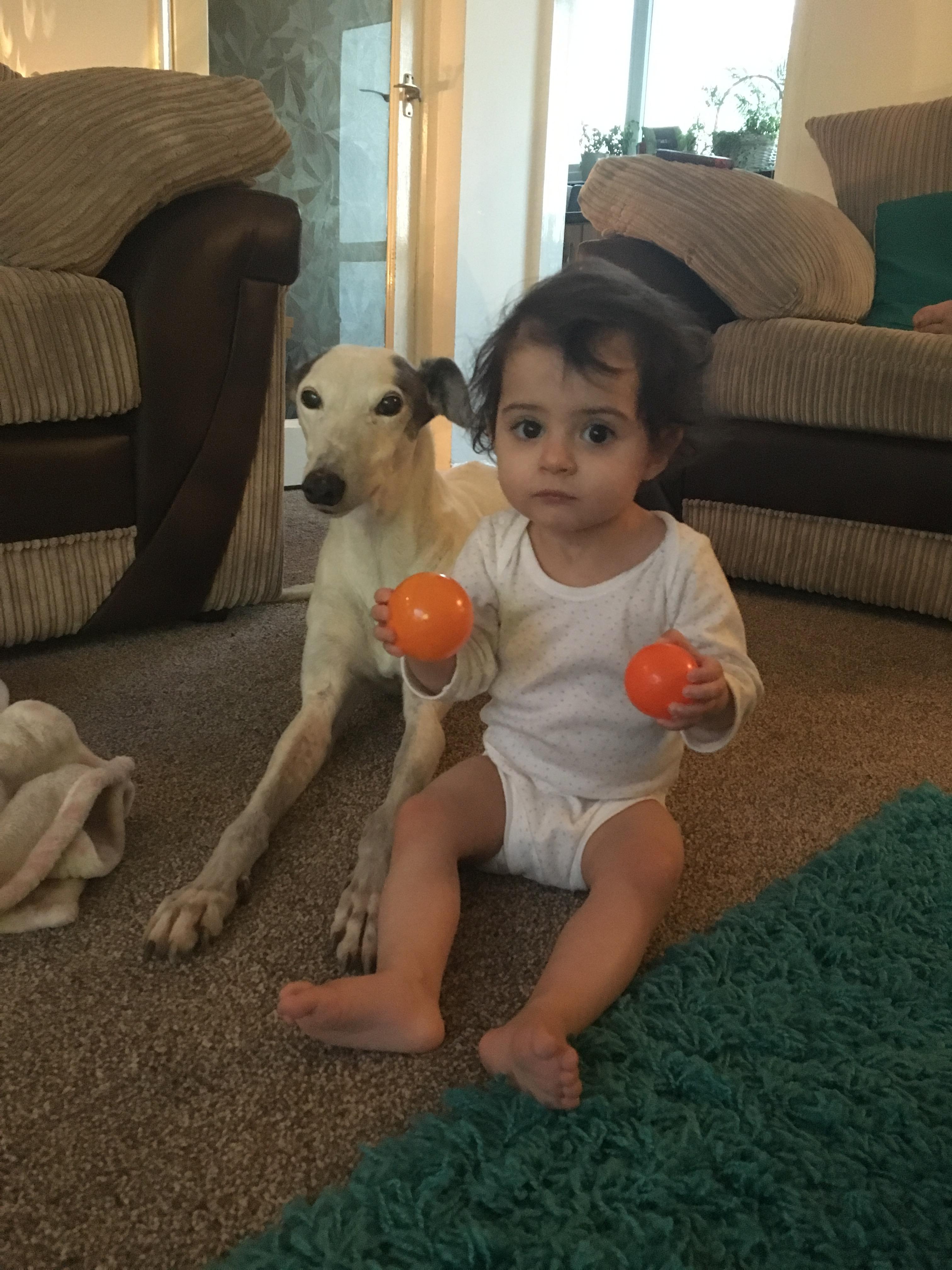 My greyhound (rip) with my son and my daughter | Scrolller
