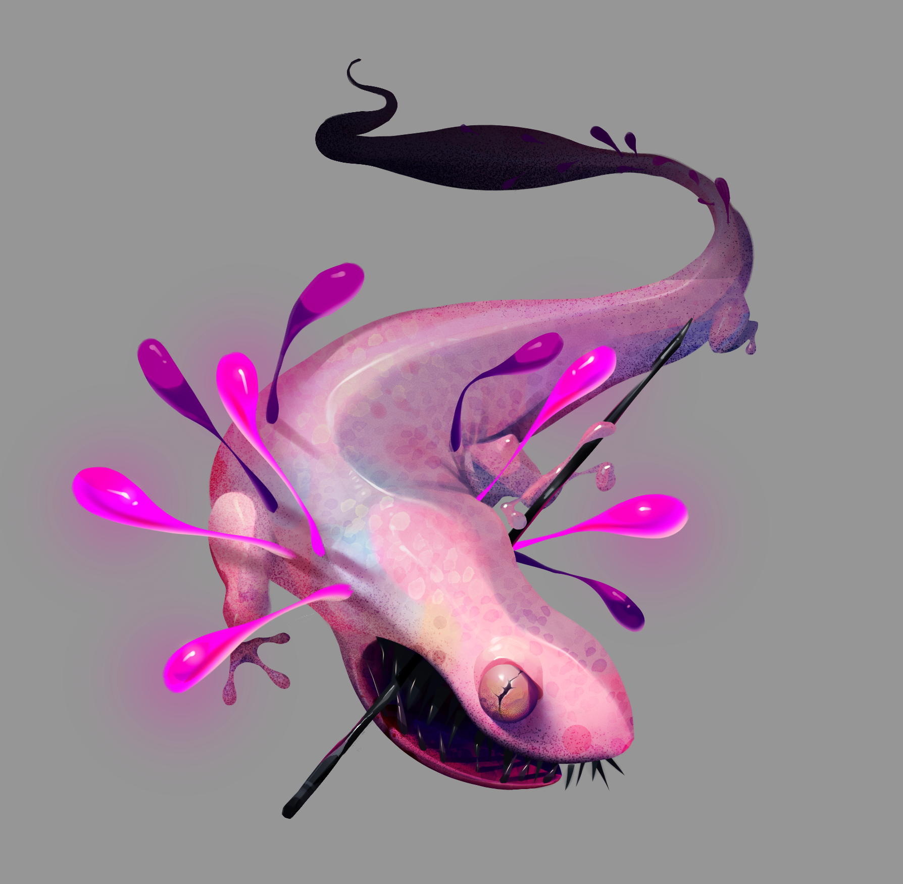 Salamander | Scrolller