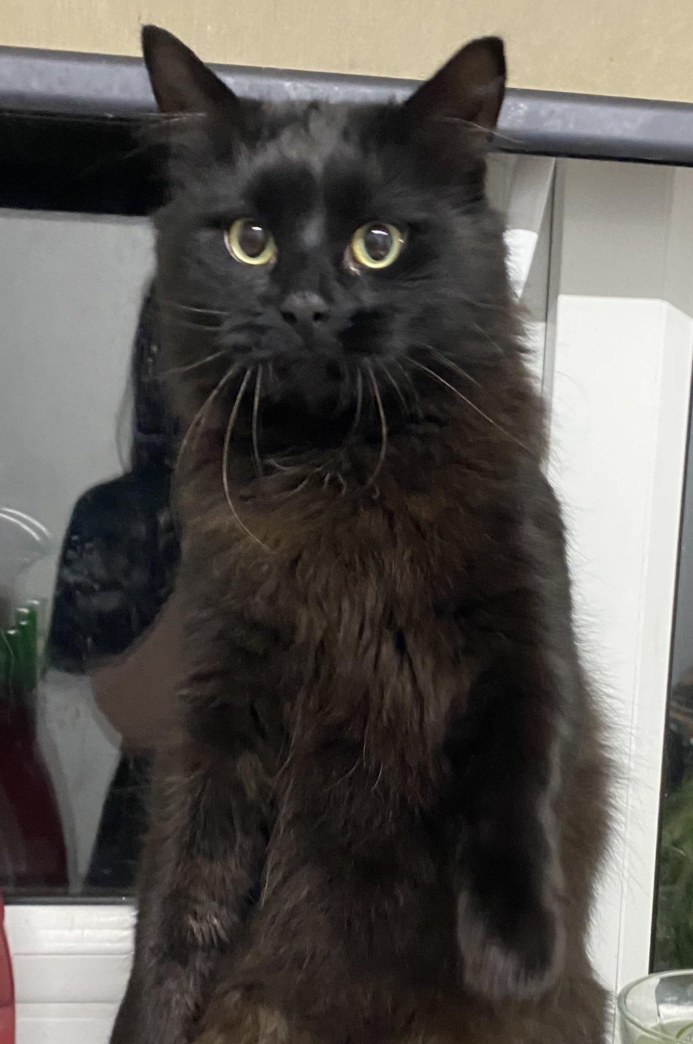 Such a main character! My child :) | Scrolller