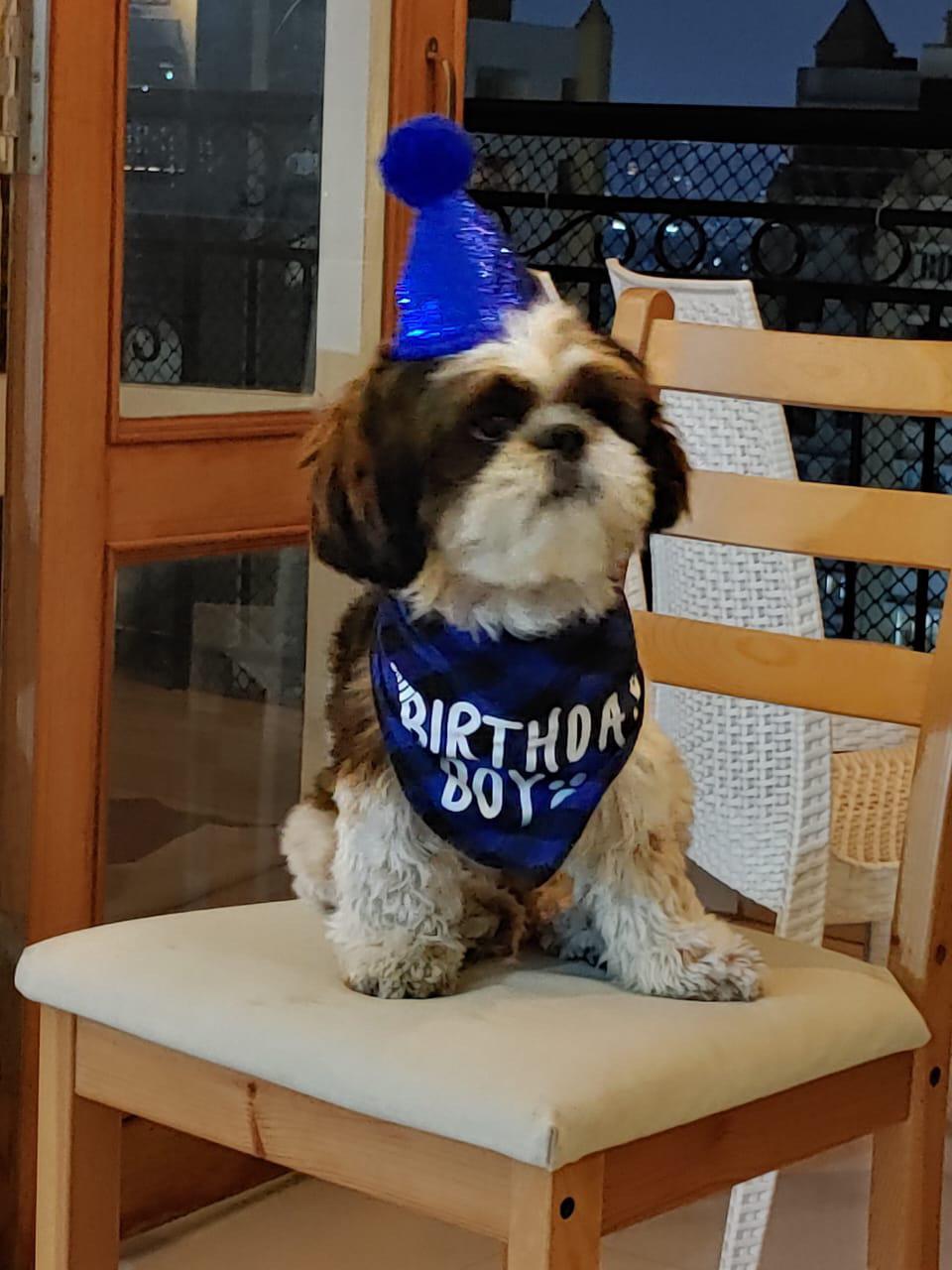 Meet Luke ! | Scrolller