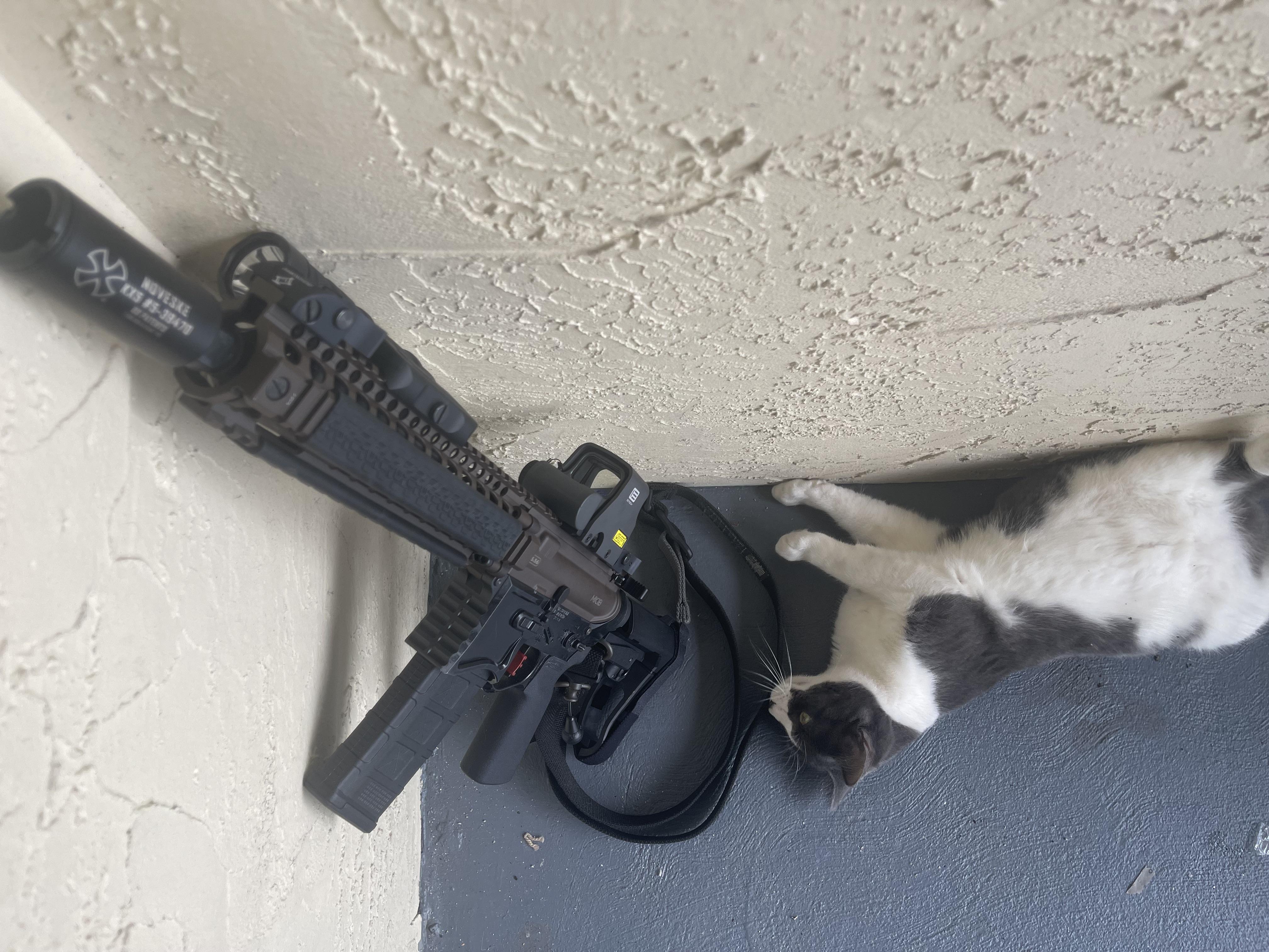 Finally got my bastard son of MK18 | Scrolller