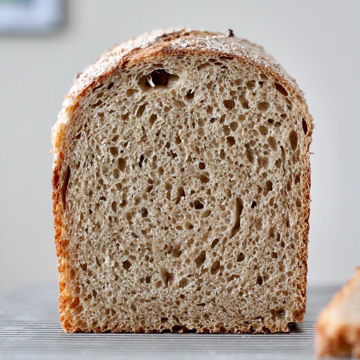 Hard Red Wheat Sandwich Loaf | Scrolller