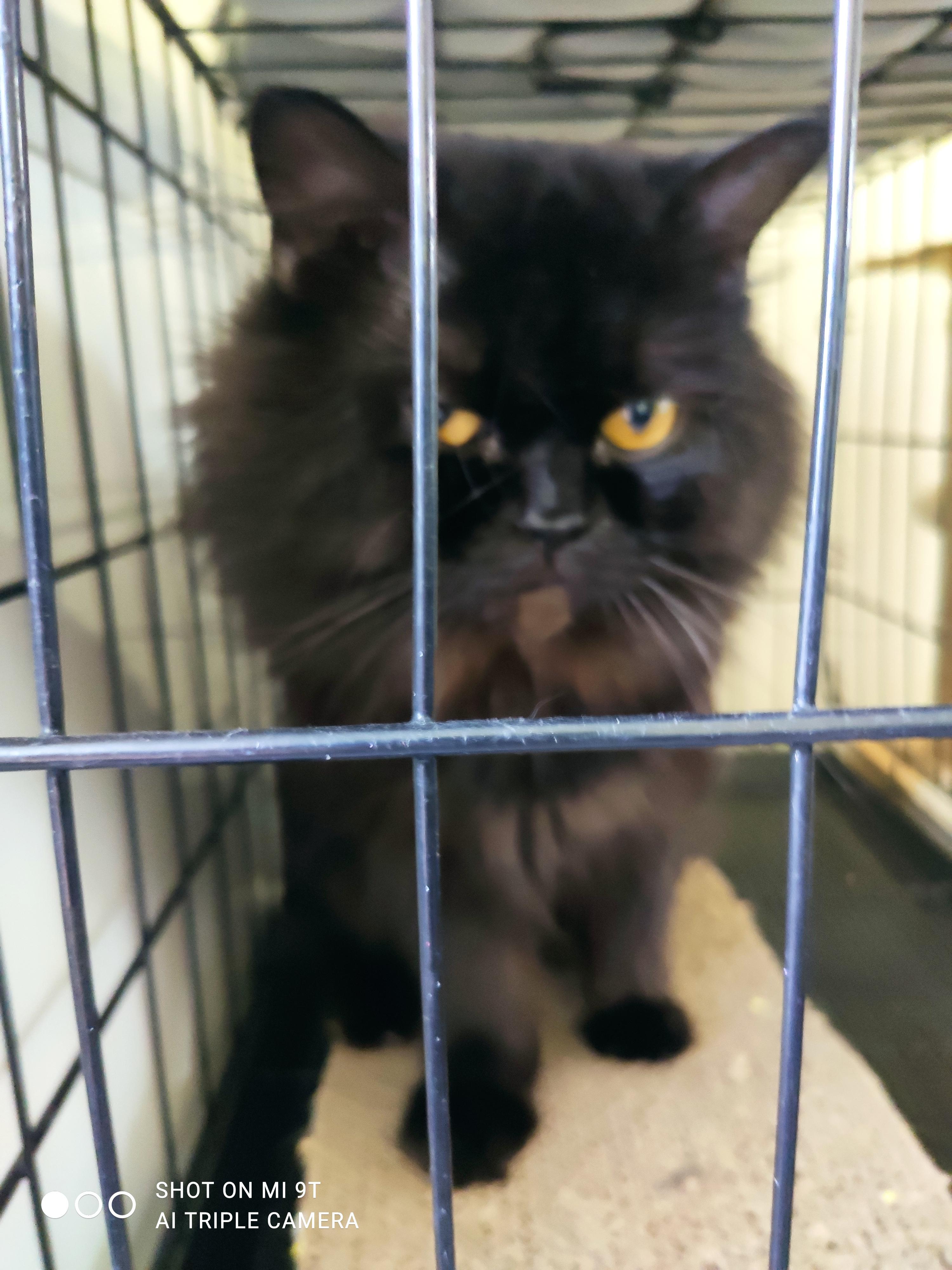 Side eye from the void | Scrolller