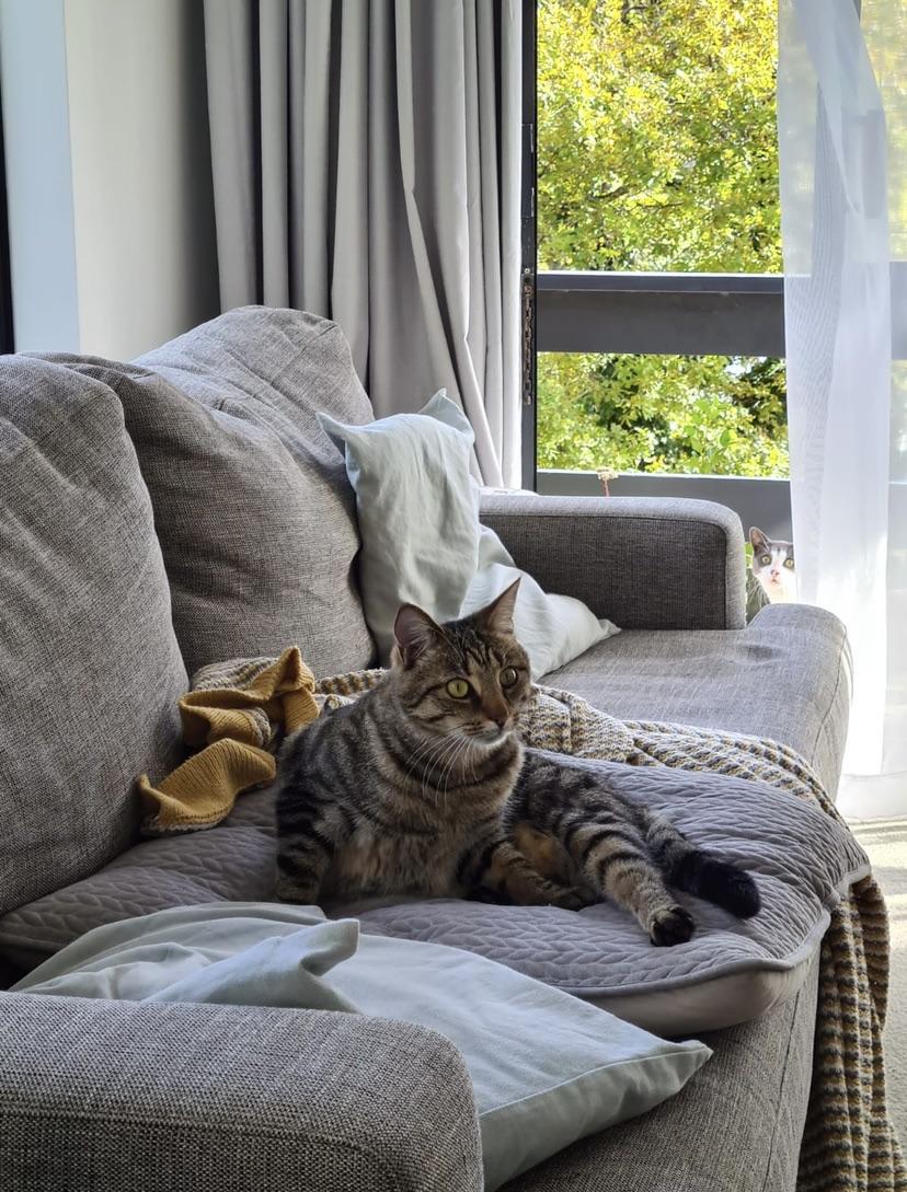 Caught cheating | Scrolller