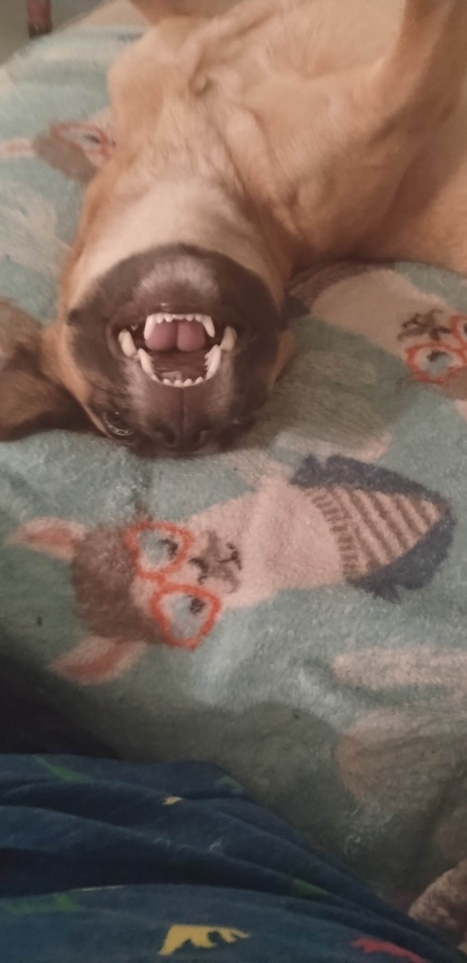 Hello from playtime! | Scrolller