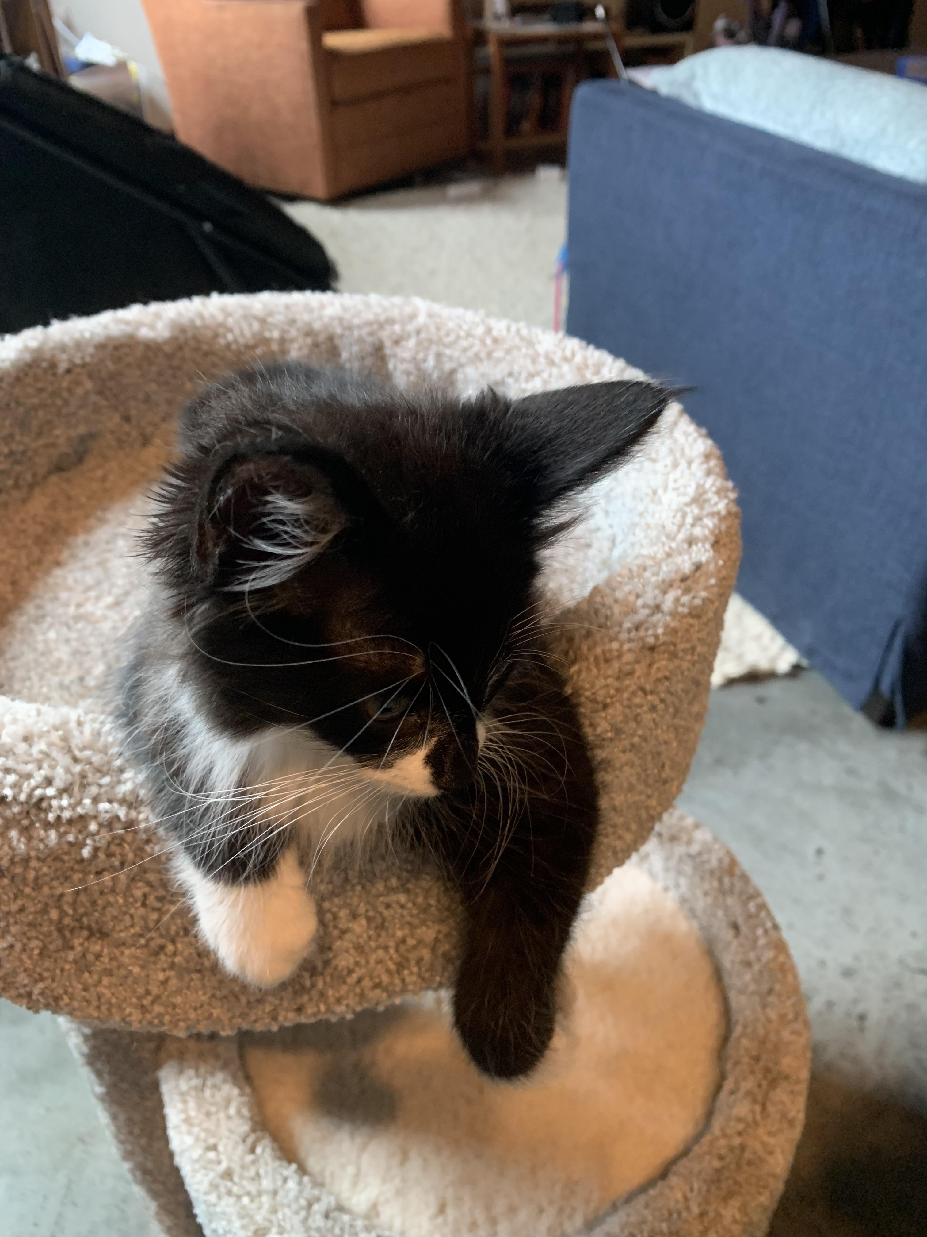 World meet Walter, my new 9 week old friend. | Scrolller