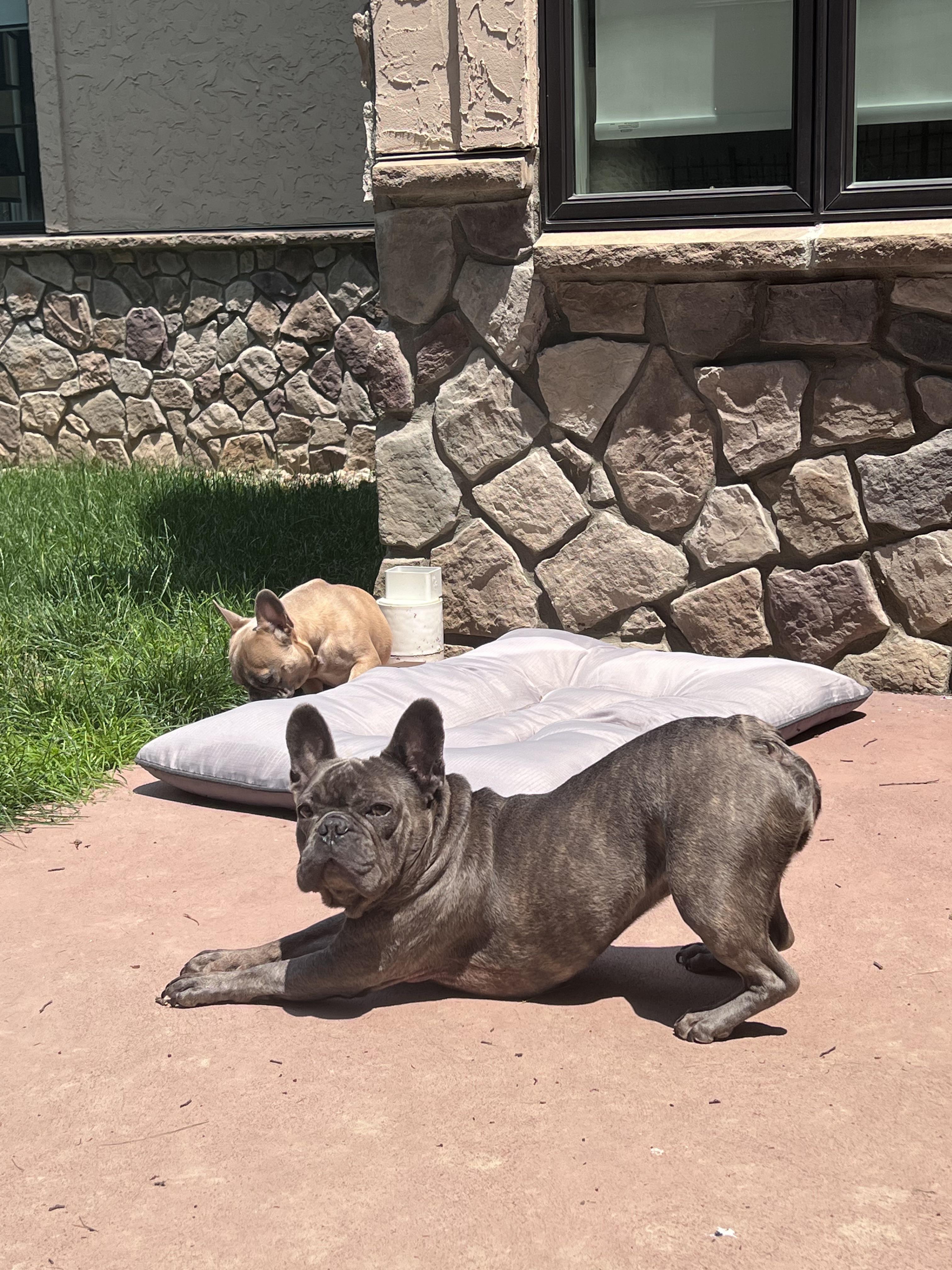 The Art of Seduction (OC) | Scrolller