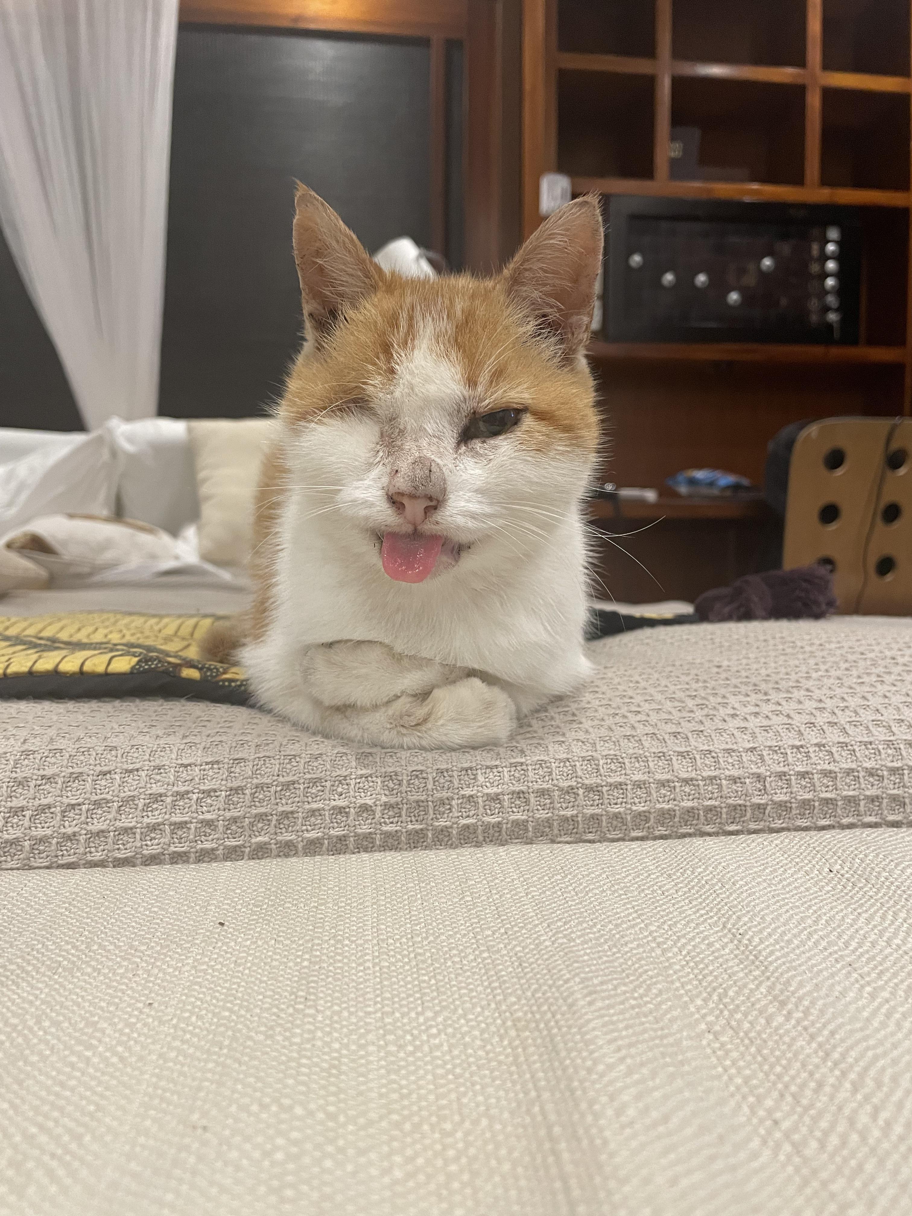 A very rustic loaf all the way from Fiji | Scrolller