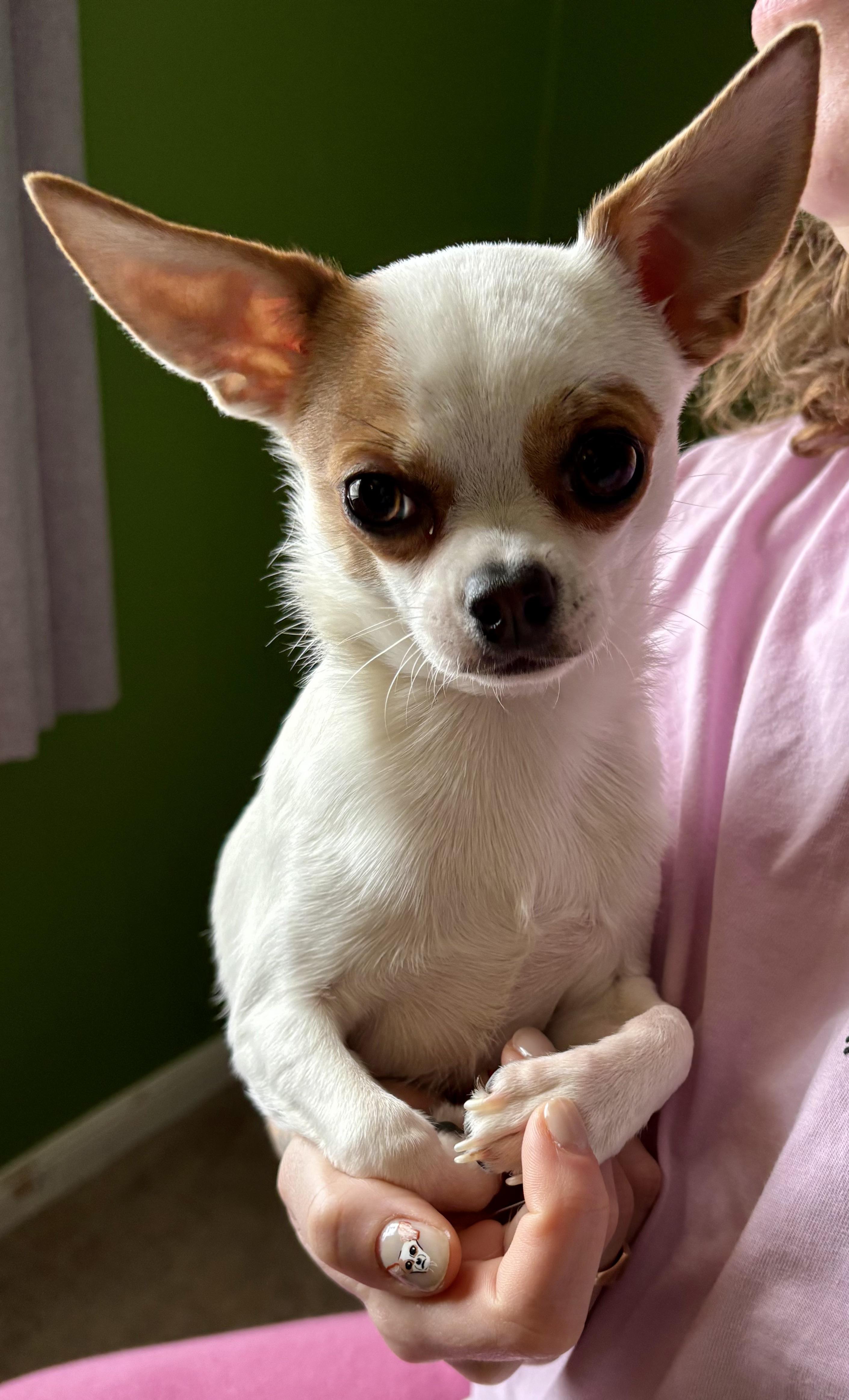 Custom nails featuring Muchacho | Scrolller