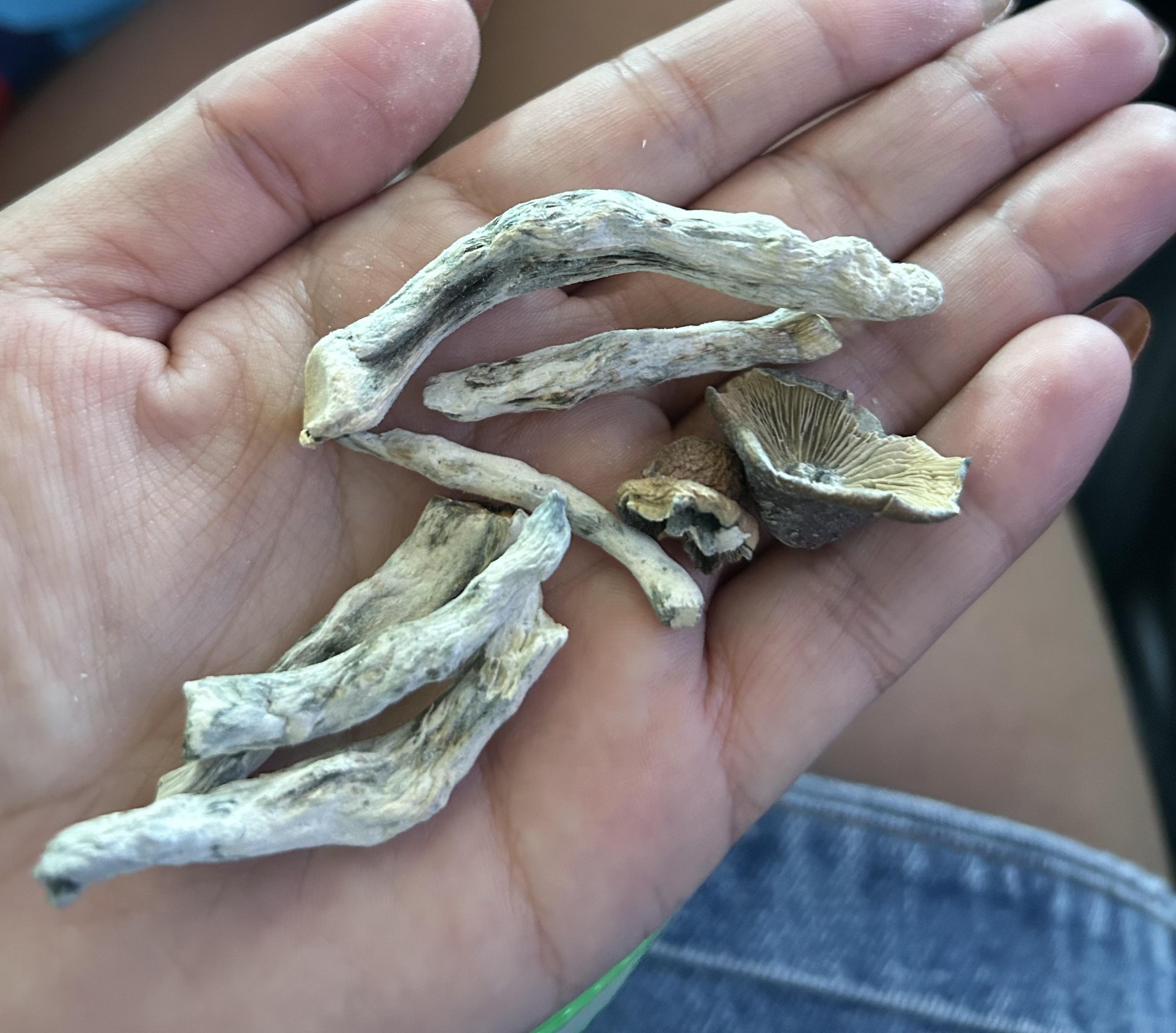 Are these moldy? | Scrolller