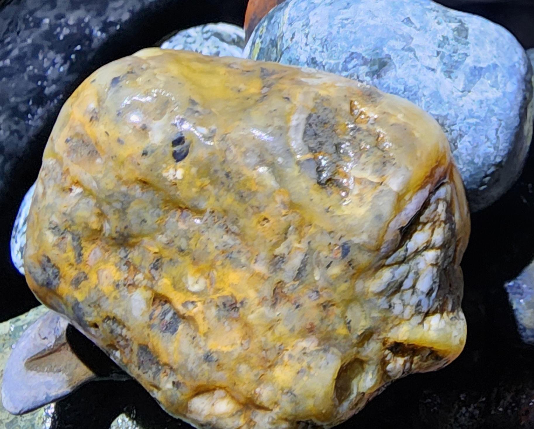 Help identify | Scrolller