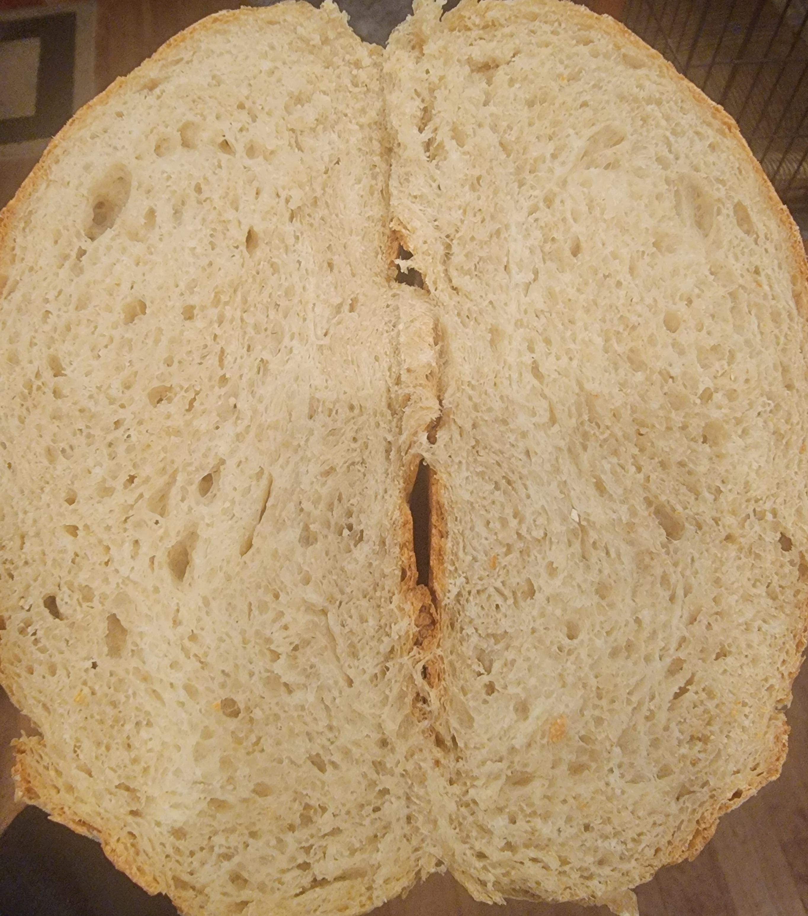 Rustic white | Scrolller