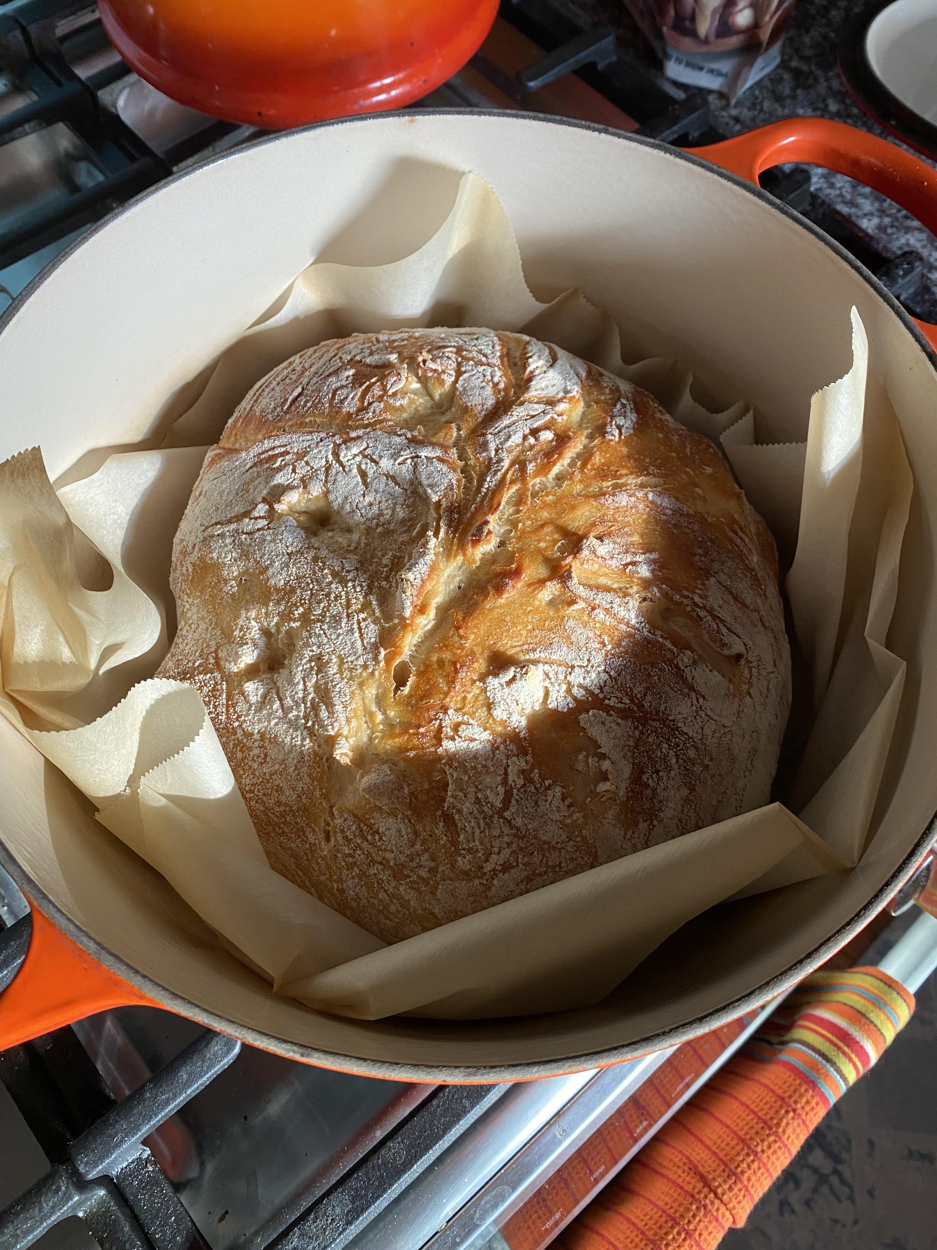 Discover more like Breadit: My First Sourdough Loaf! and Related Content | Scrolller