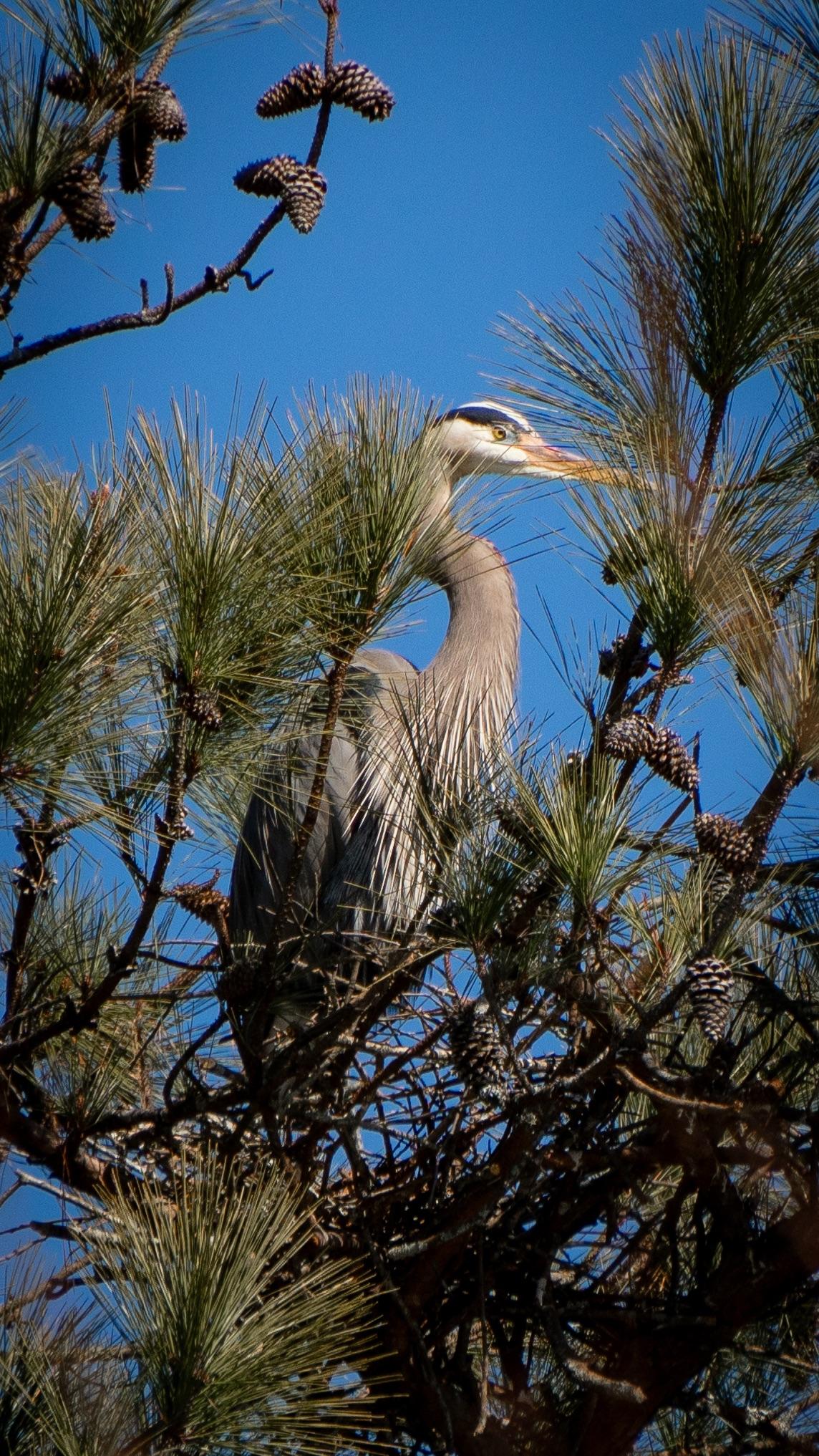 Finally left the backyard! A6700 + Tamron 18-300 | Scrolller